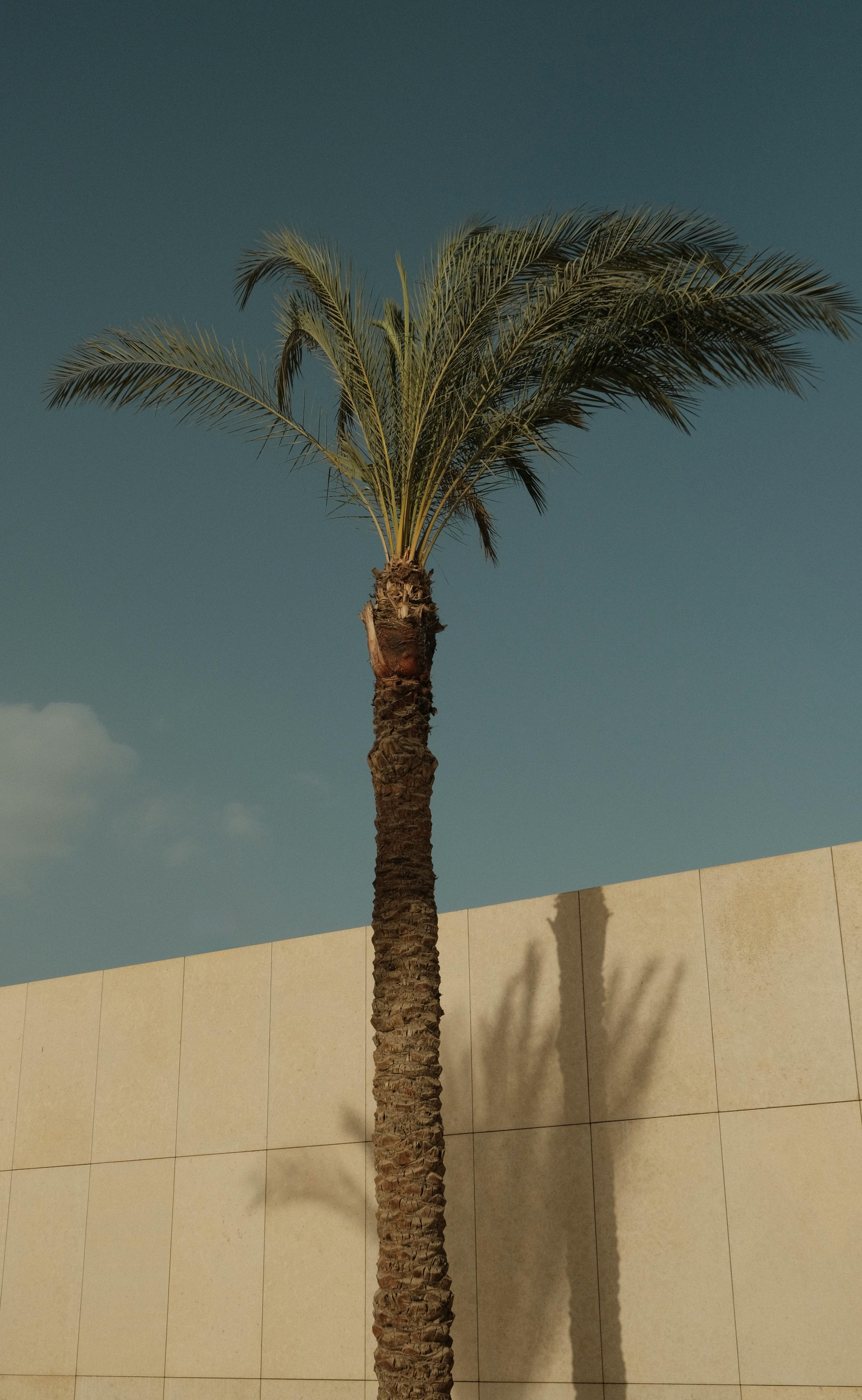 Lock Screen Wallpaper Zelda Photos, Download The BEST Free Lock Screen ...