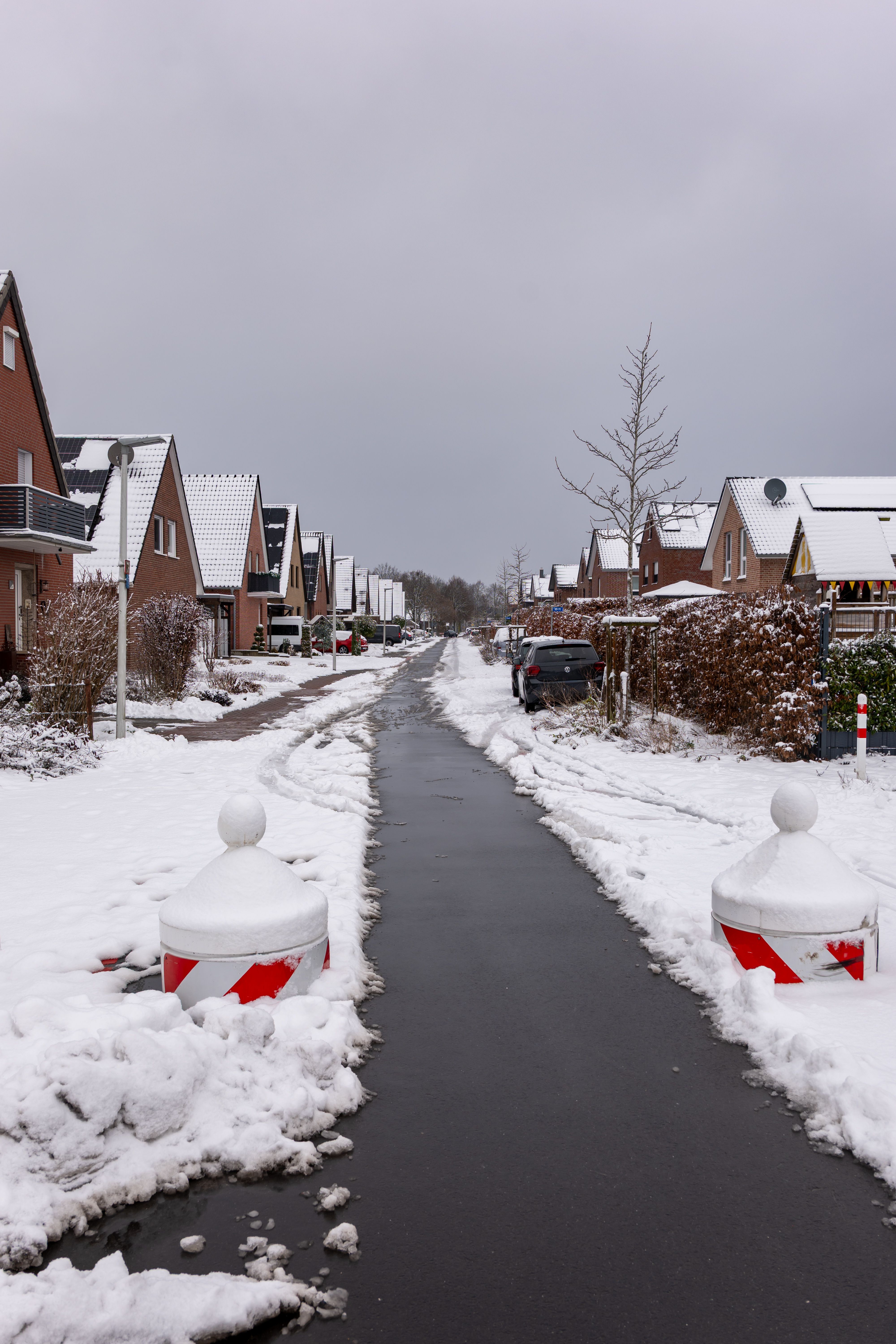 Snowy Suburban Street Captured in Winter · Free Stock Photo