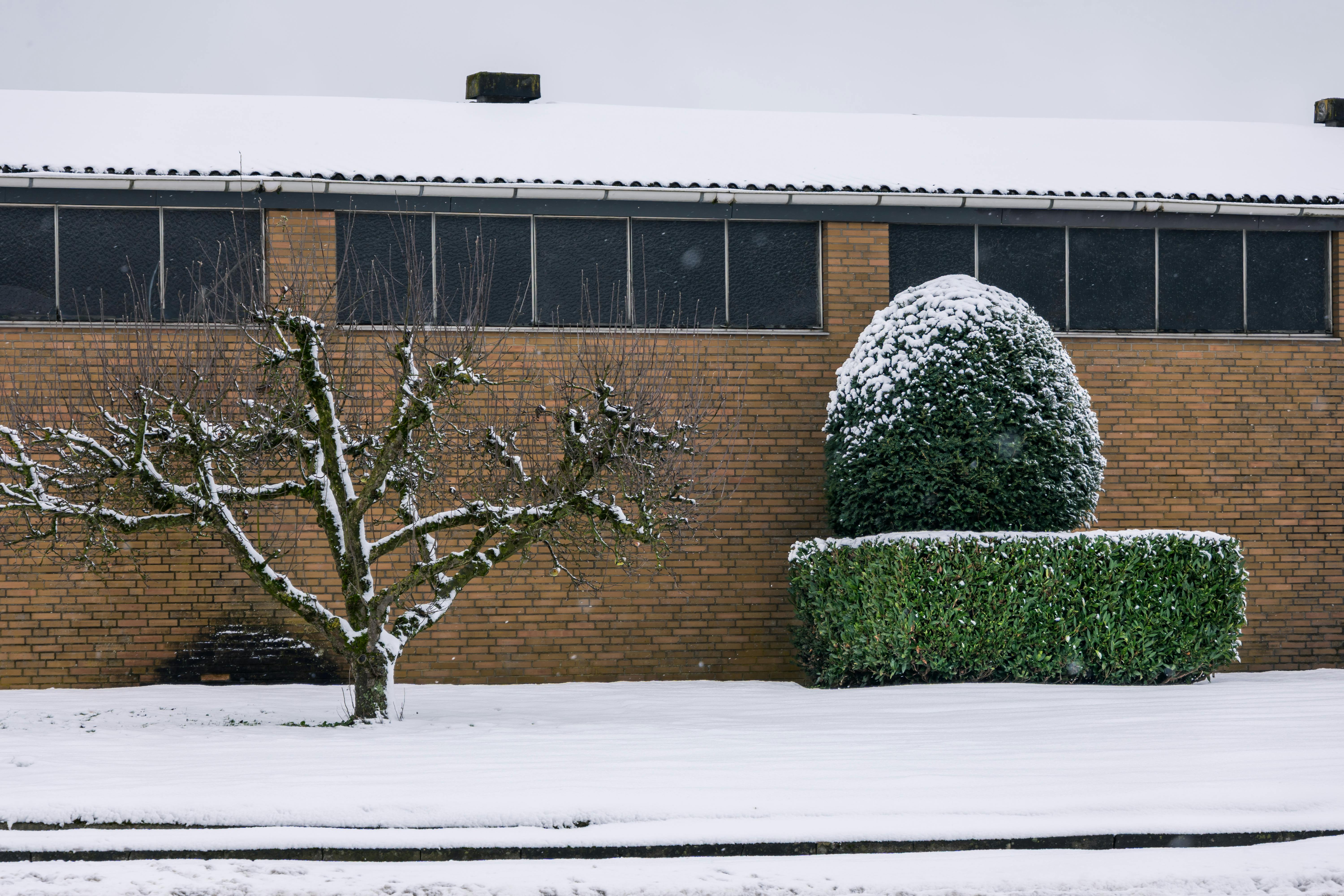 Pooja+Hedge+Upskirt Photos, Download The BEST Free Pooja+Hedge+Upskirt ...