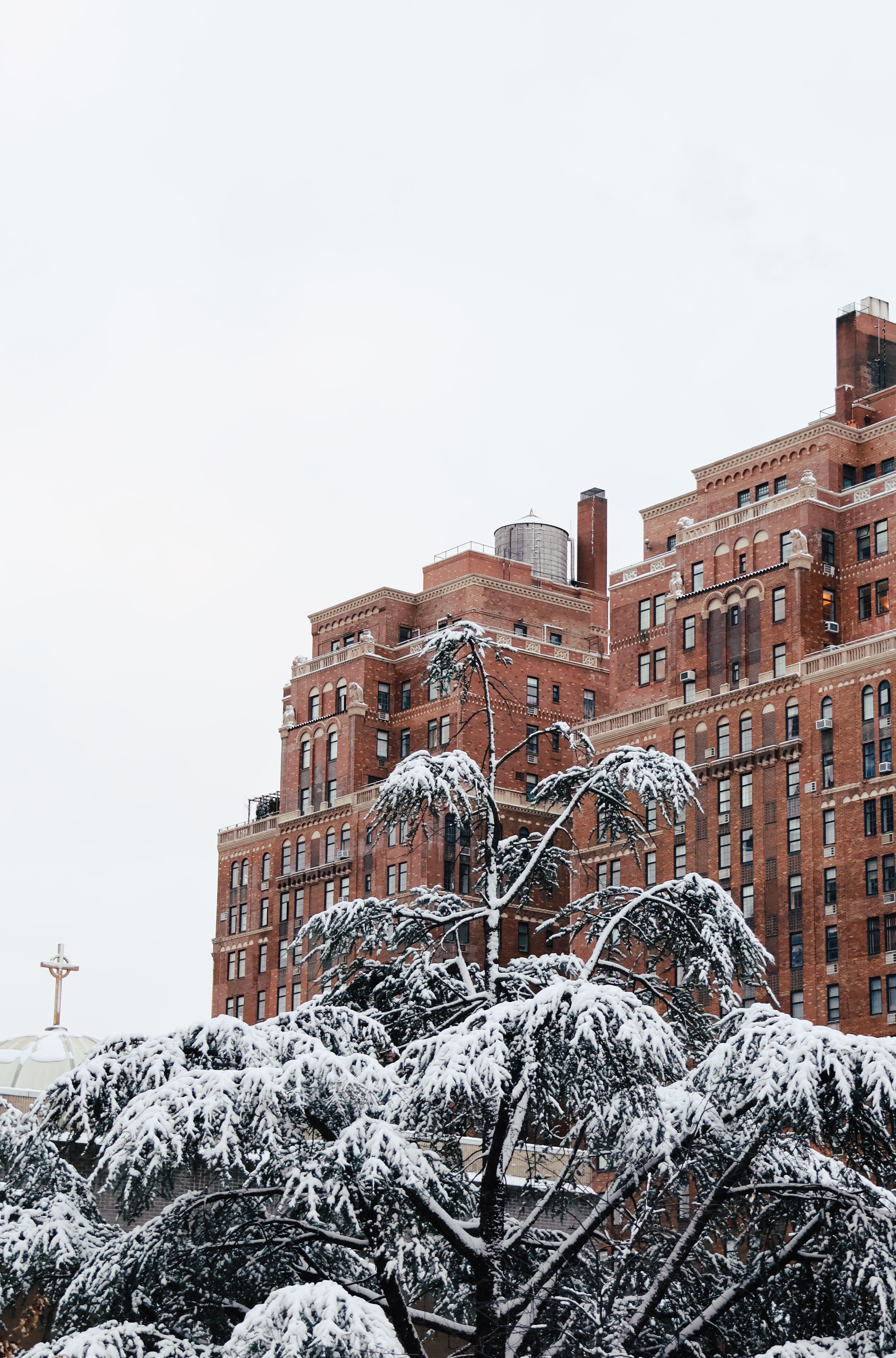 Snow-Covered Chelsea Buildings in Winter · Free Stock Photo