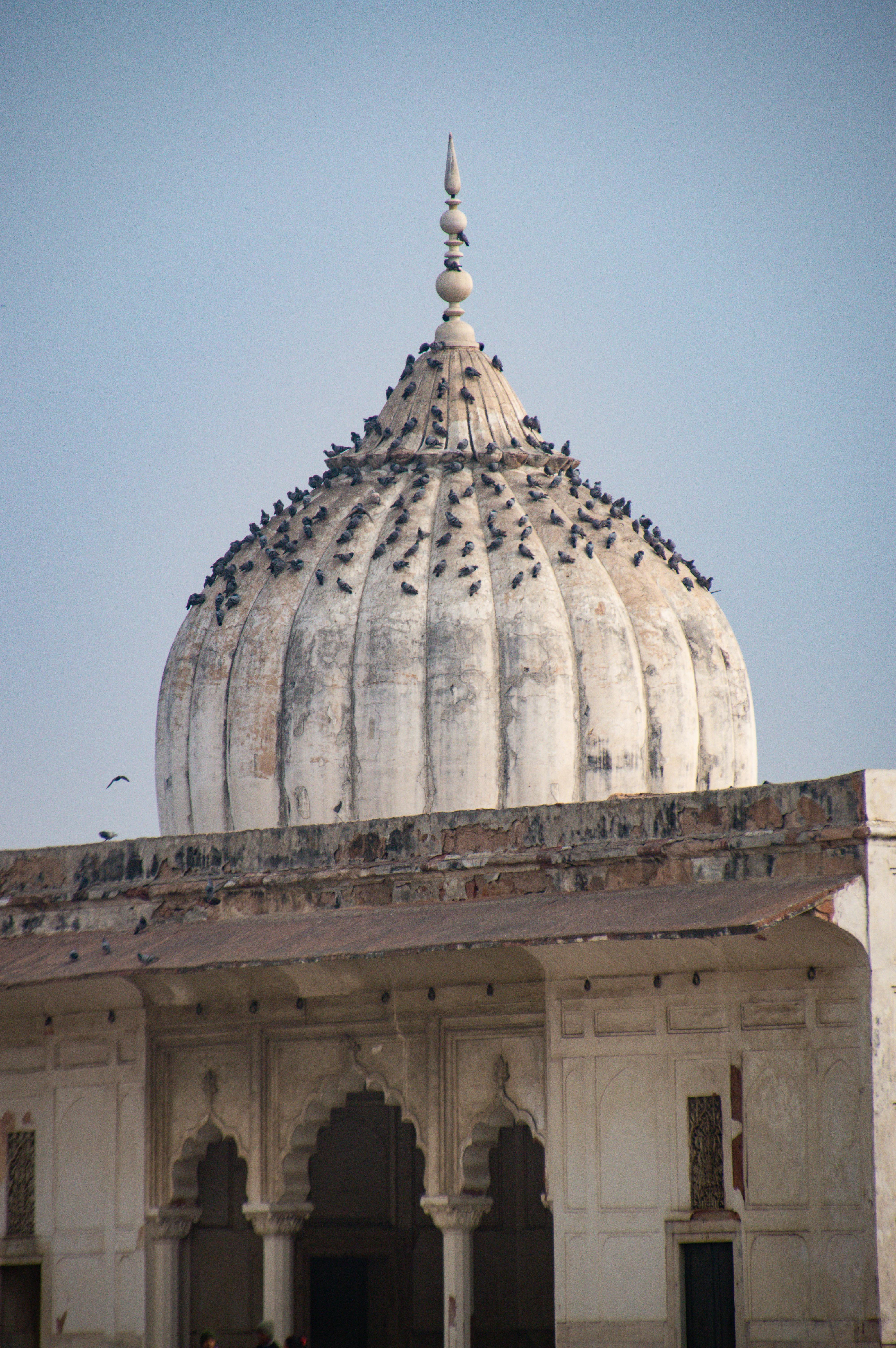 Pizza+Arch Photos, Download The BEST Free Pizza+Arch Stock Photos & HD ...