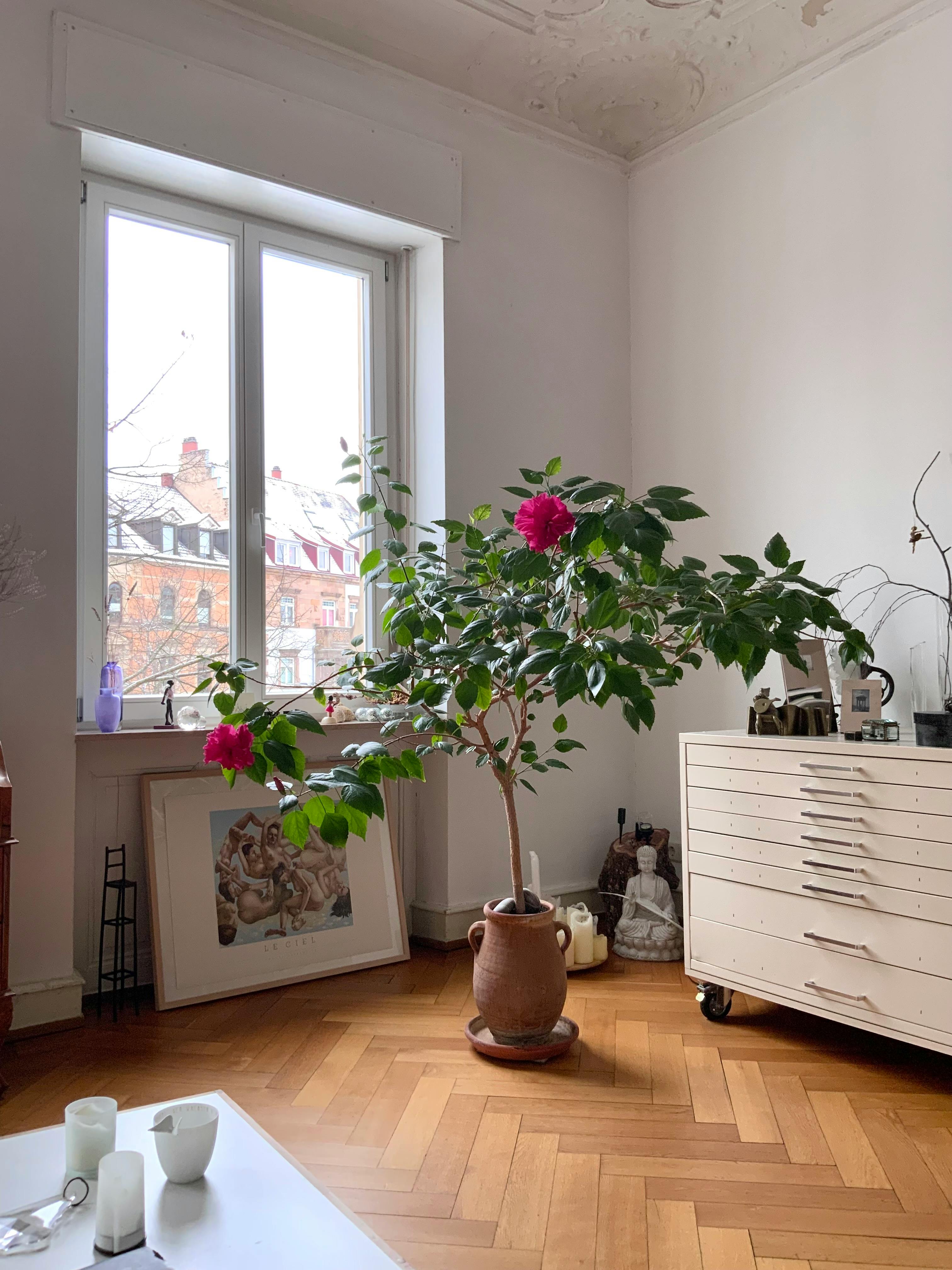 50.000+ ảnh đẹp nhất về Kisskh.co+se · Tải xuống miễn phí 100% · Ảnh có ...