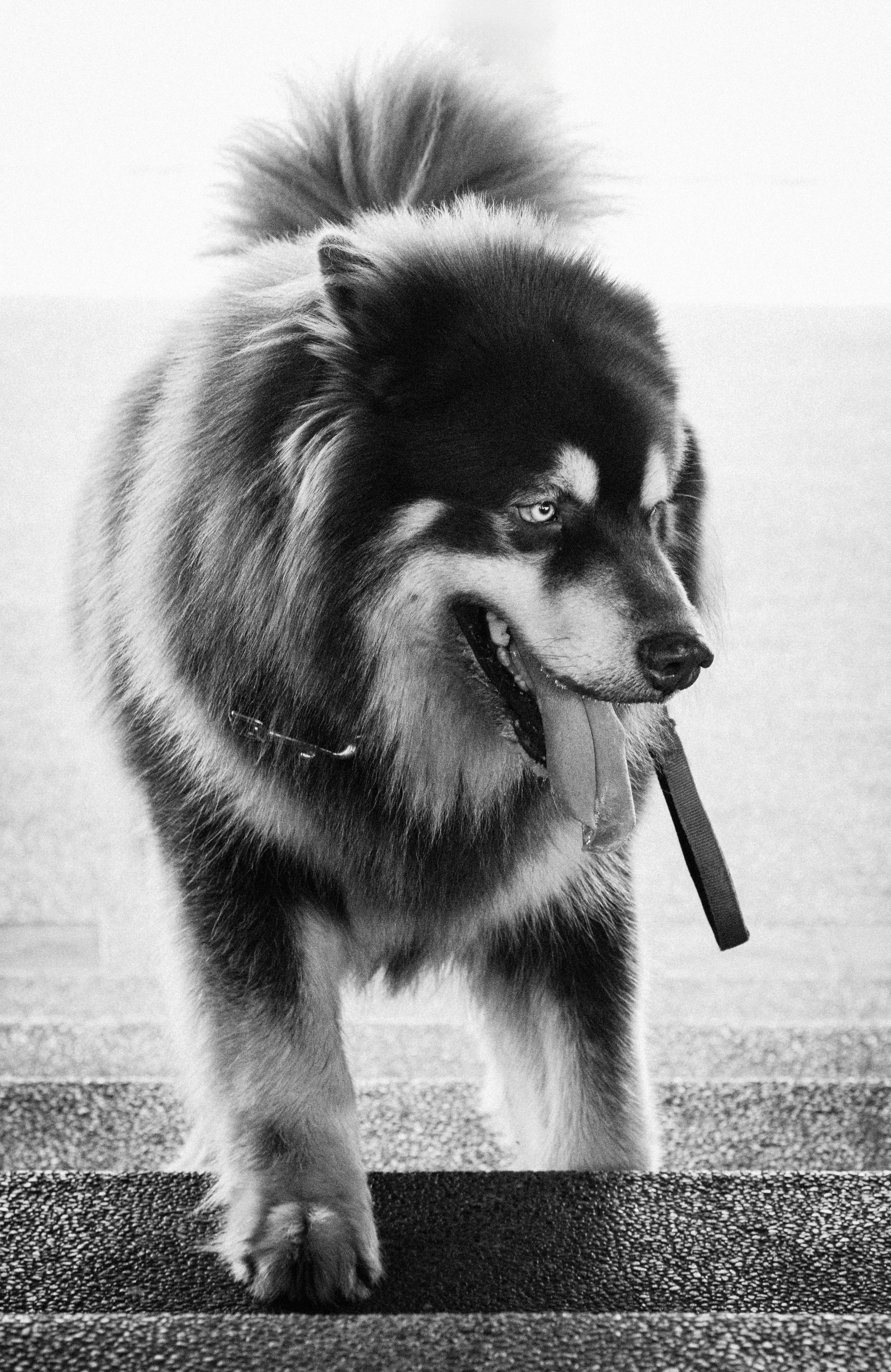 Foto de stock gratuita sobre #interior, alto contraste, ambiente urbano ...