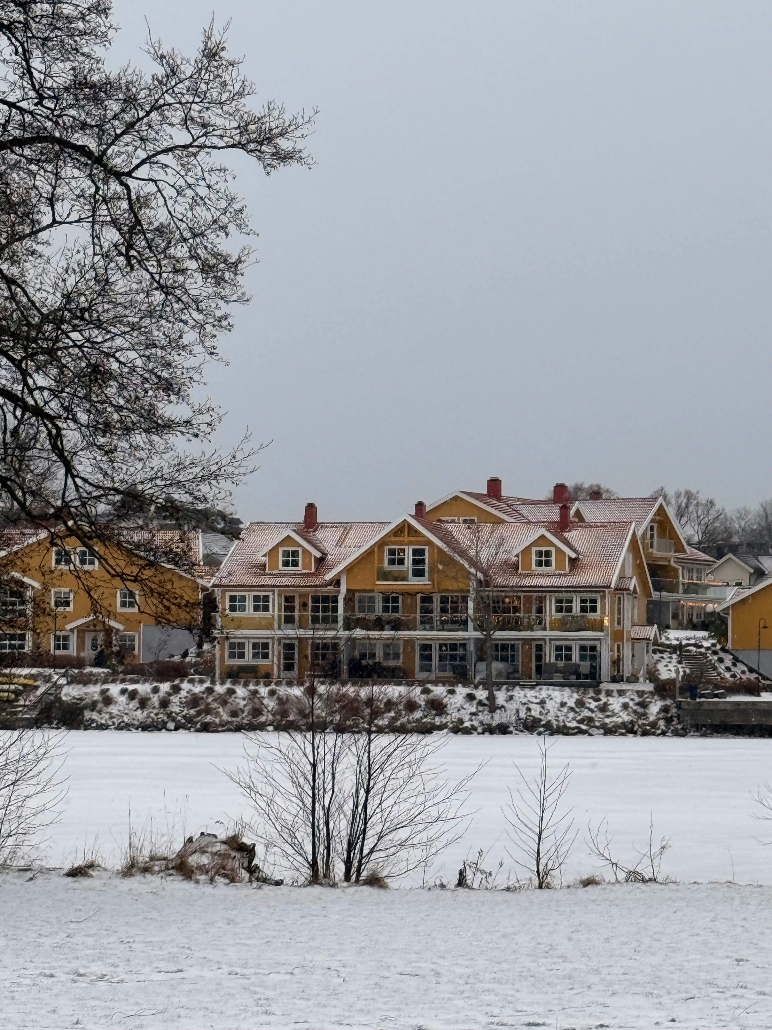 Snowy Suburban Houses in Winter Landscape · Free Stock Photo
