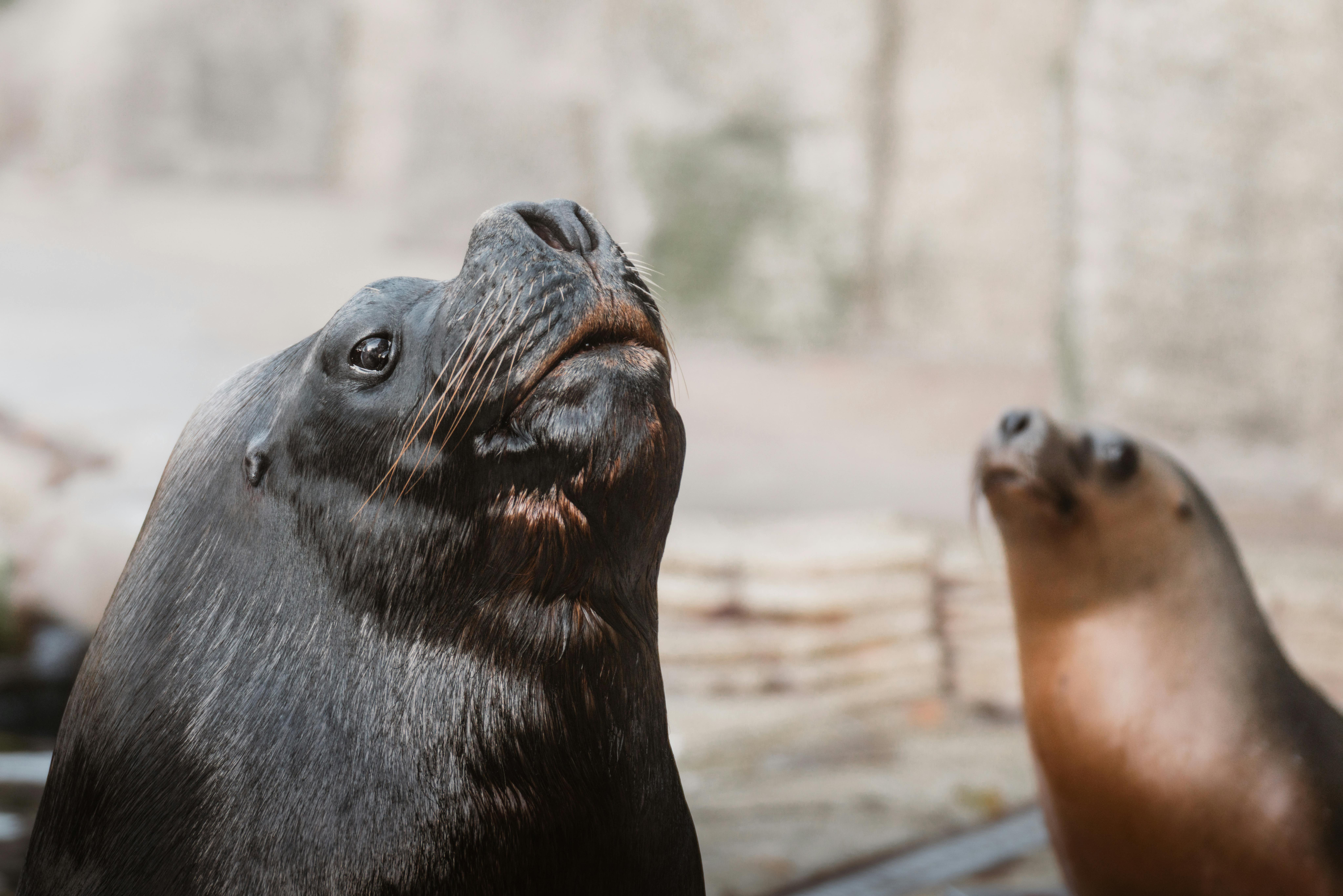 Screen+B Photos, Download The BEST Free Screen+B Stock Photos & HD Images