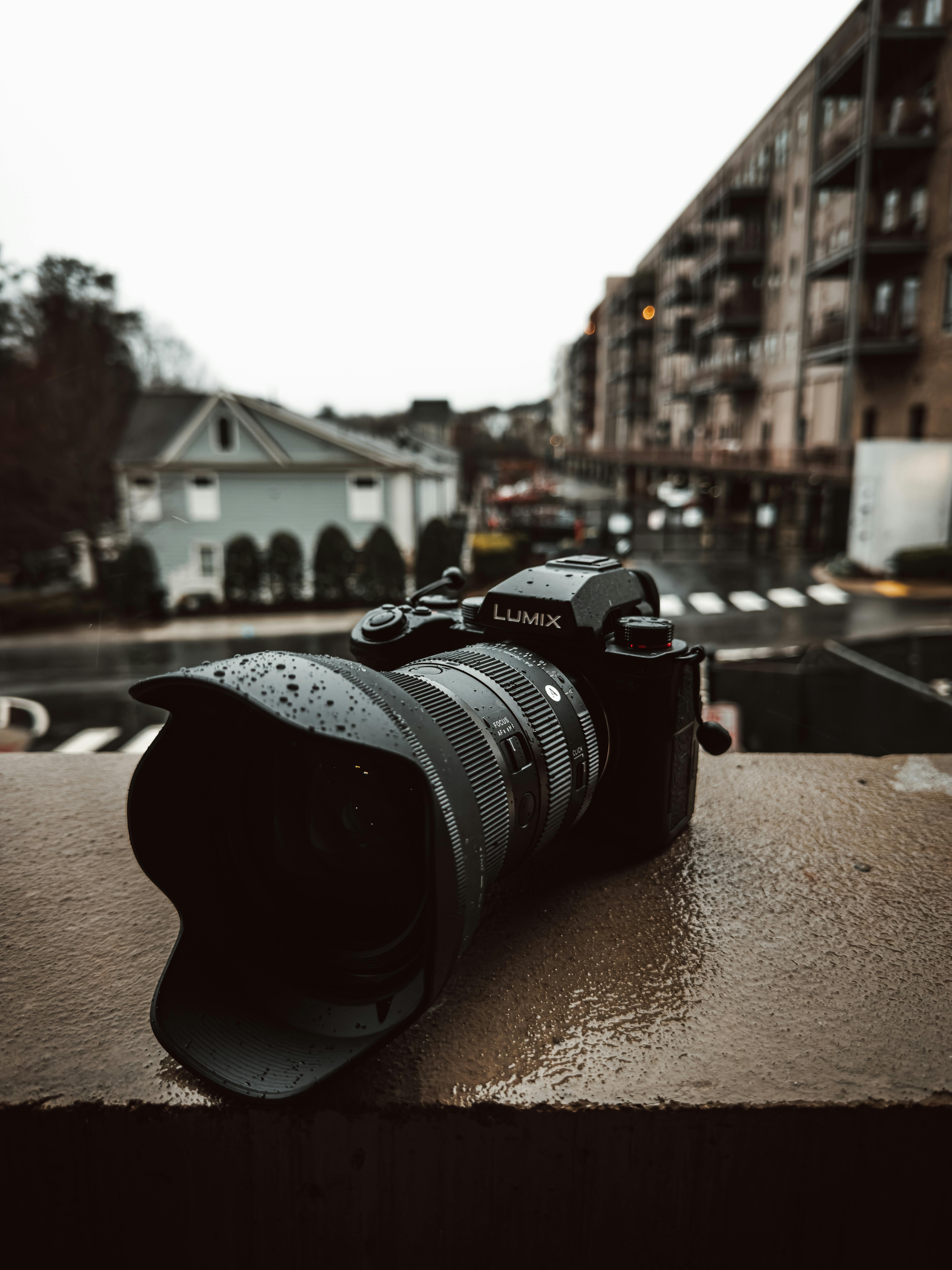 Download+Cpf Photos, Download The BEST Free Download+Cpf Stock Photos ...