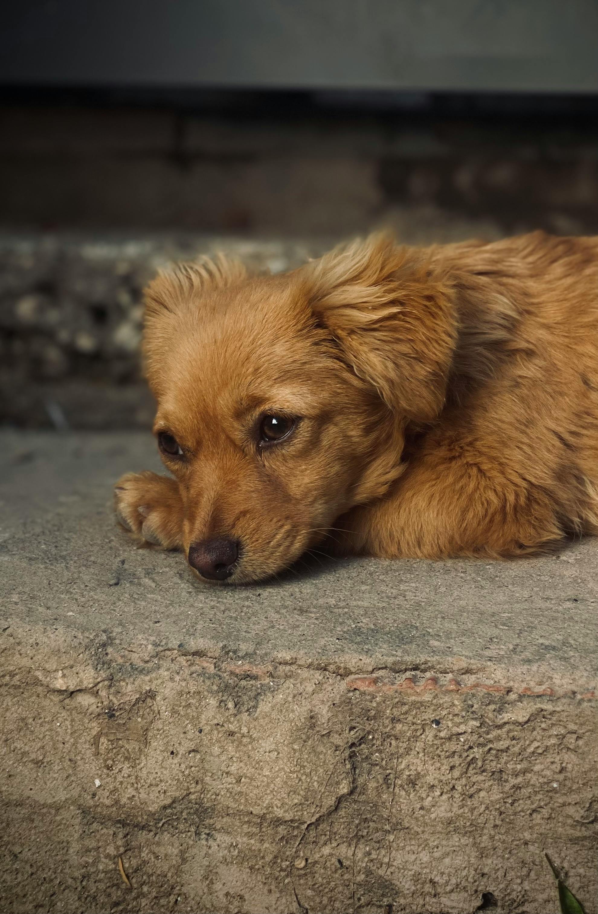 42.528+ Fotos y Imágenes de Imag-2026 Gratis · Banco de Fotos Gratis