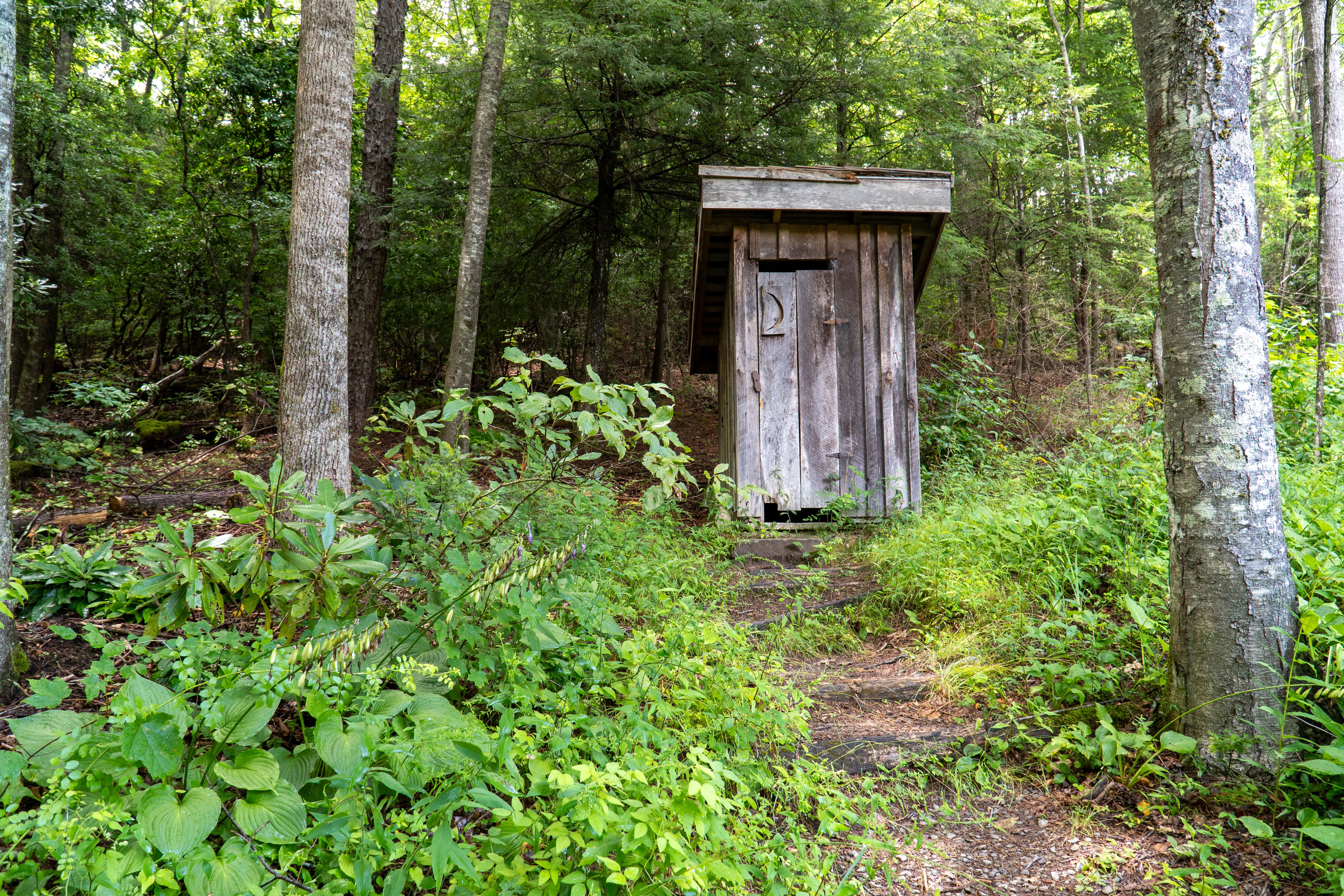 Outhouse Photos, Download The BEST Free Outhouse Stock Photos & HD Images