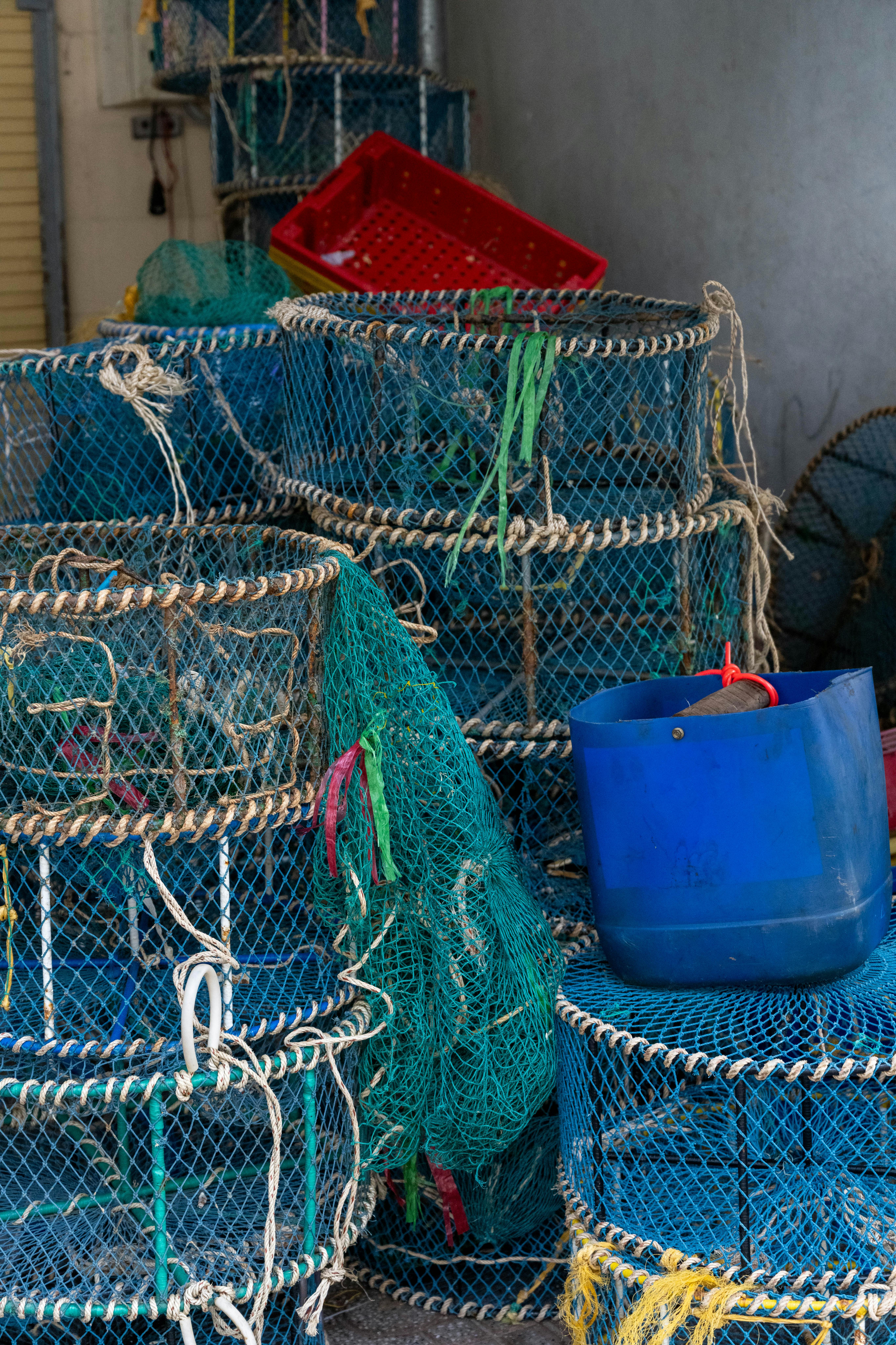 Geat+Frame Photos, Download The BEST Free Geat+Frame Stock Photos & HD ...