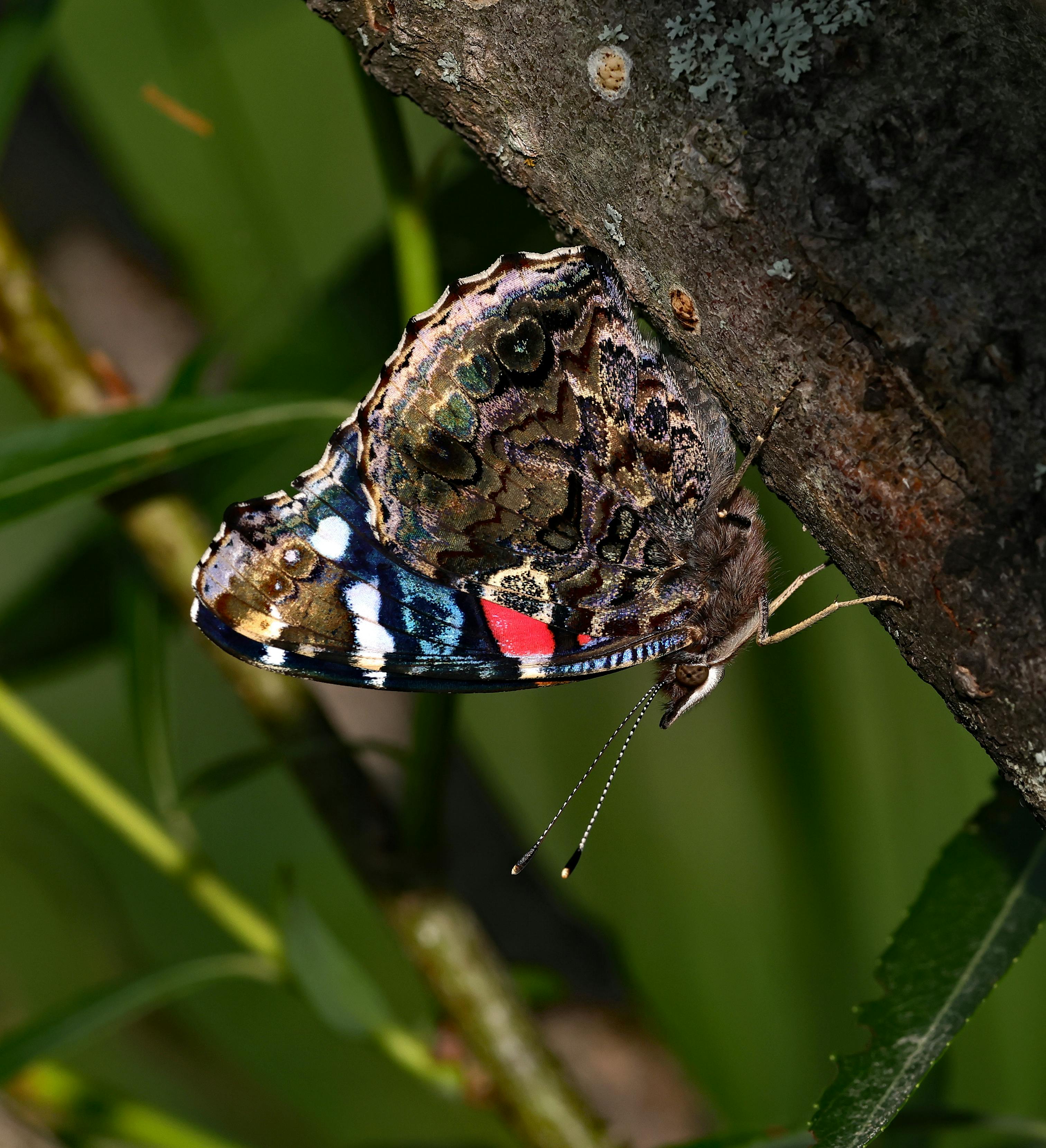 Thomas Elliott - Fotografía