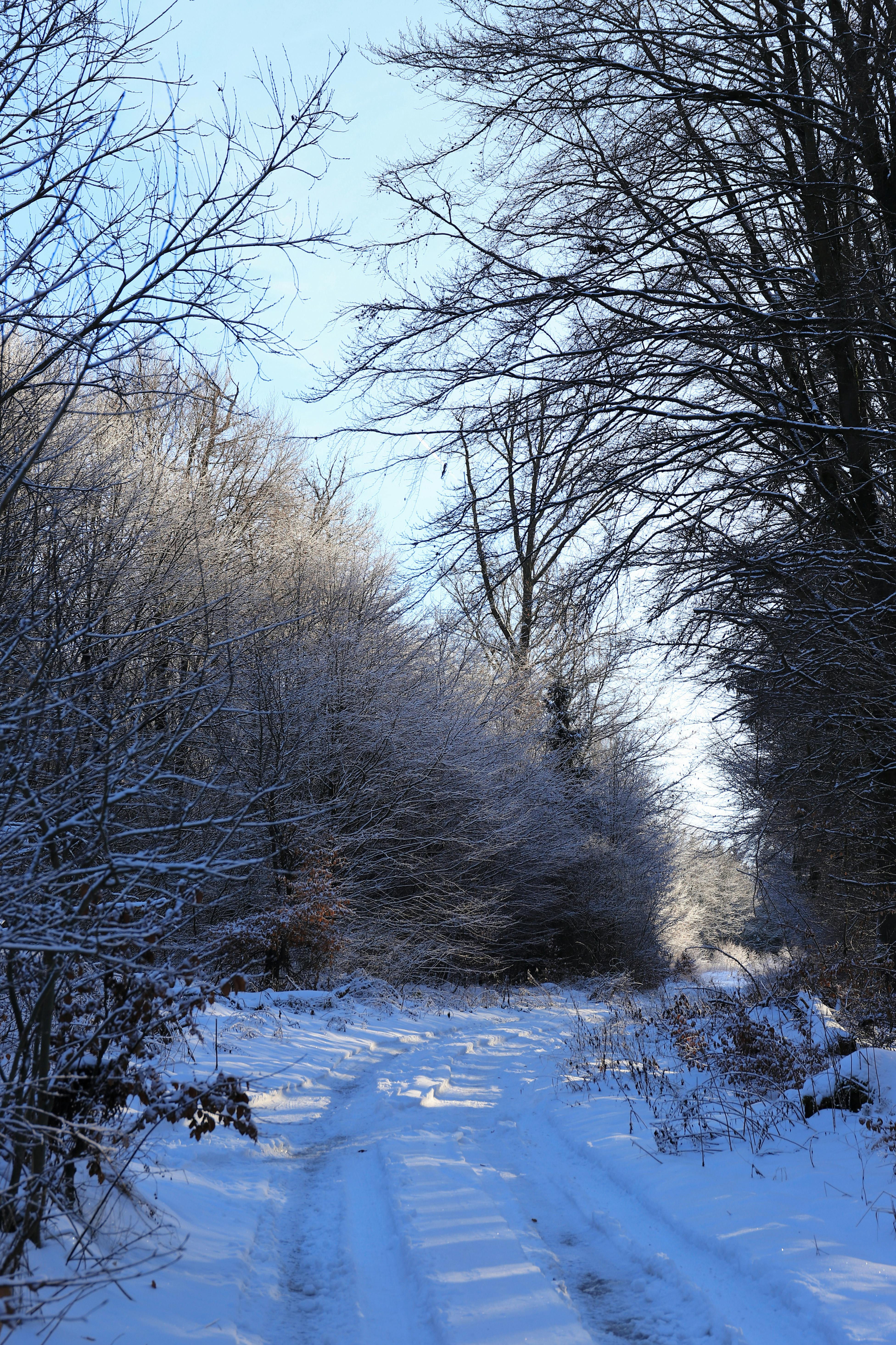 40.000+ Jo+froster+swimsuits Bilder und Fotos · Kostenlos Downloaden ...