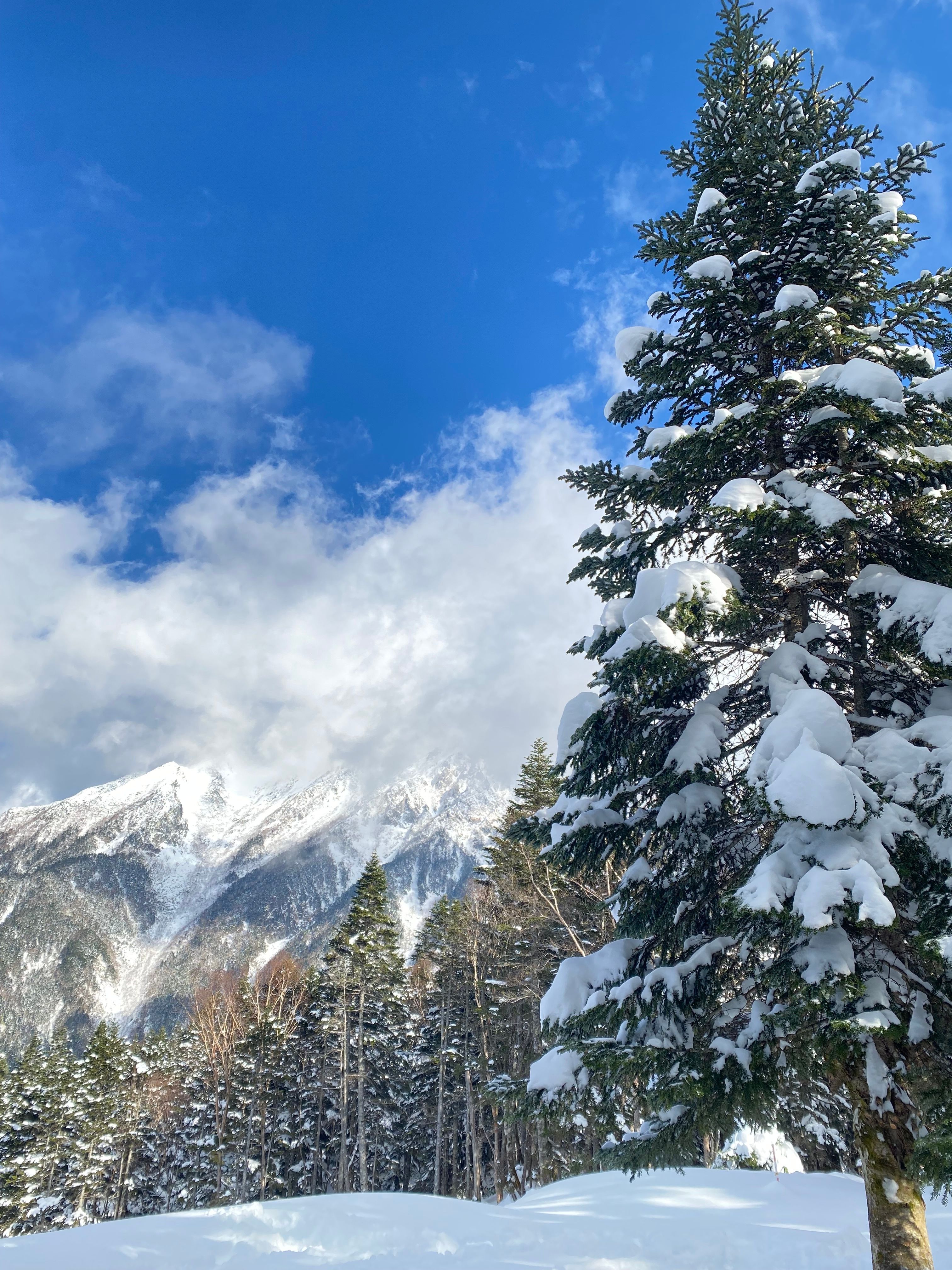 Snow-Covered Alpine Landscape in Japan · Free Stock Photo