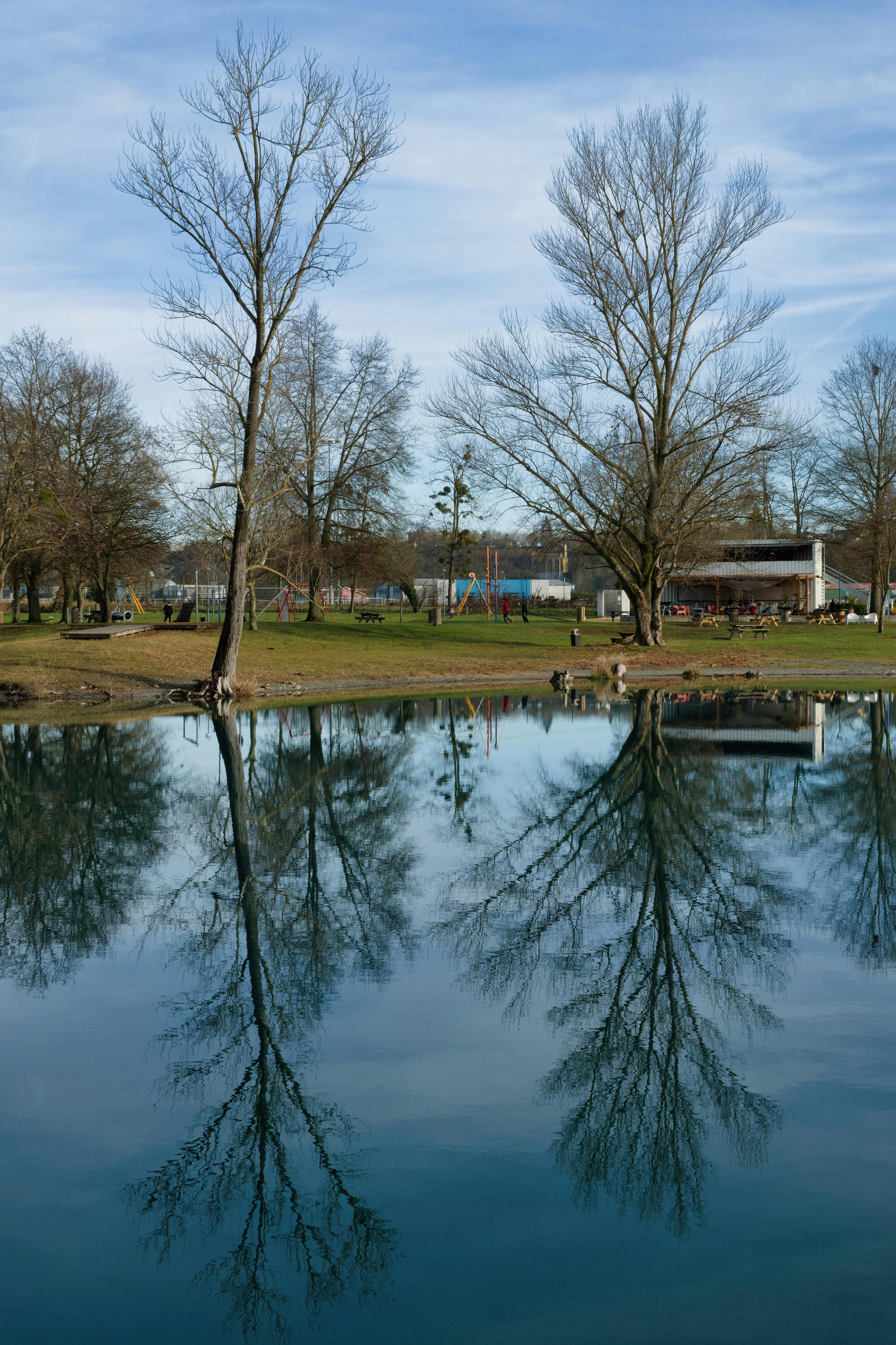 42.528+ Fotos y Imágenes de Imag-2026 Gratis · Banco de Fotos Gratis