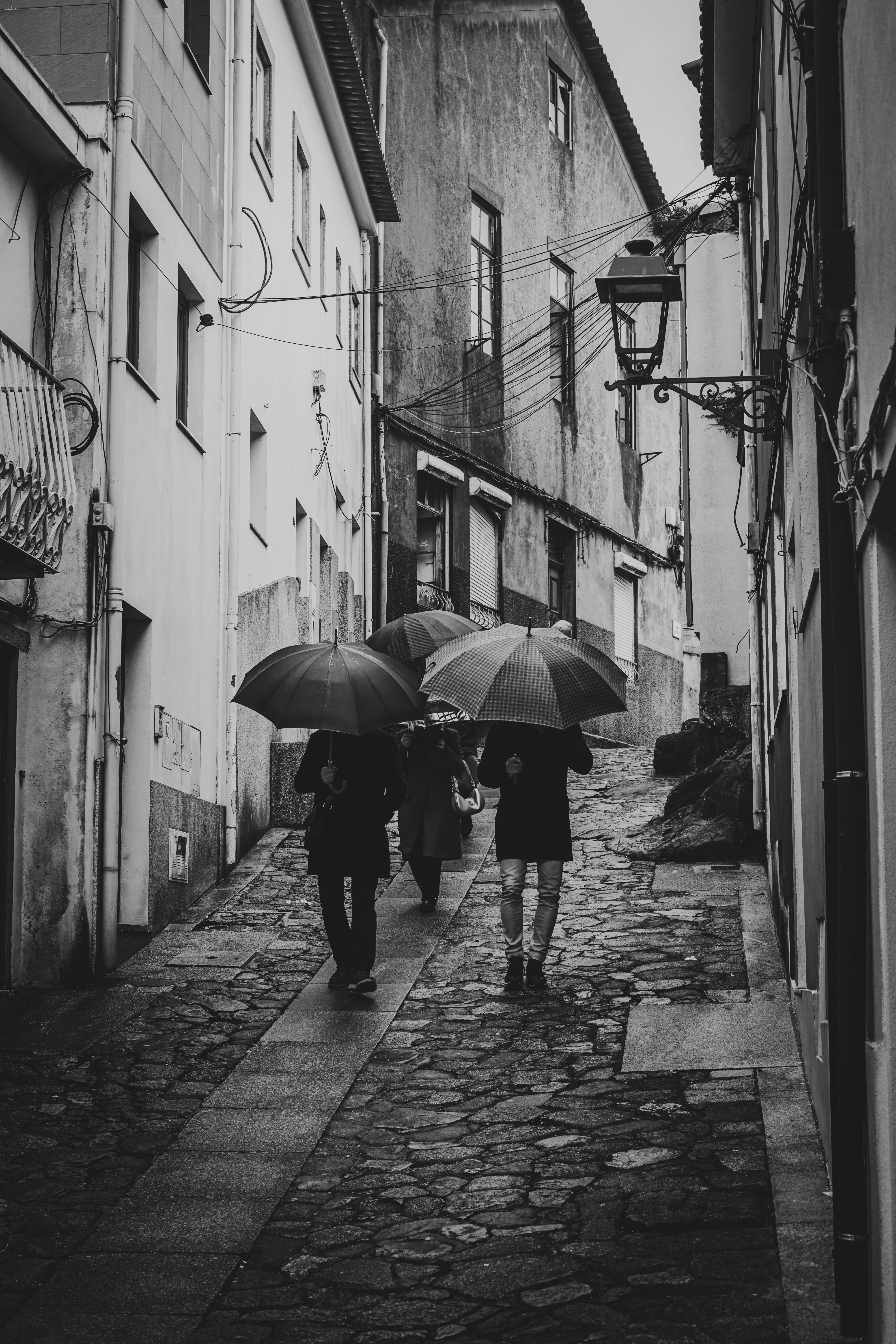 Black and White Rainy Alleyway Scene · Free Stock Photo