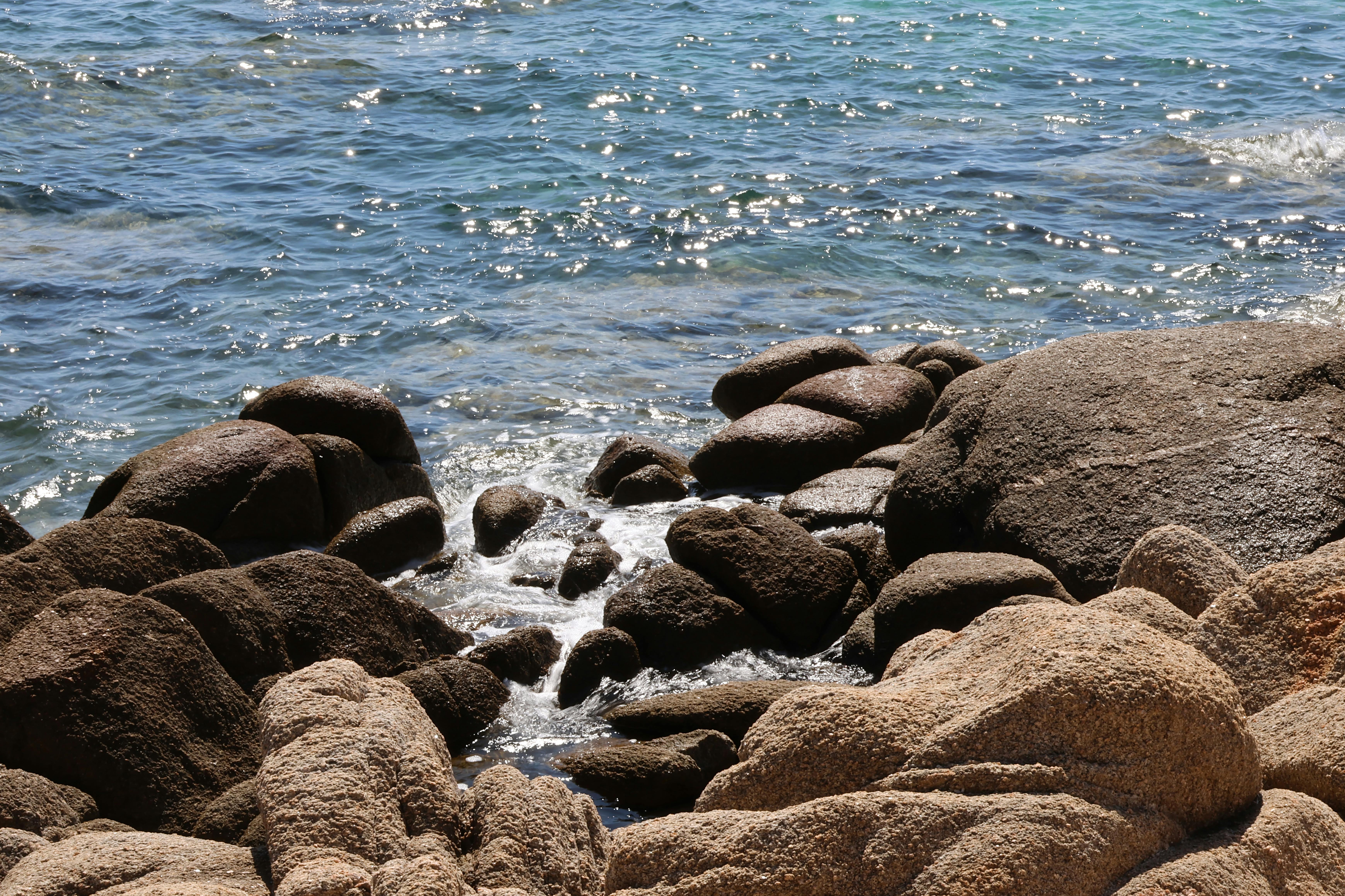 Rocky Beach Shoreline with Sparkling Ocean Water · Free Stock Photo