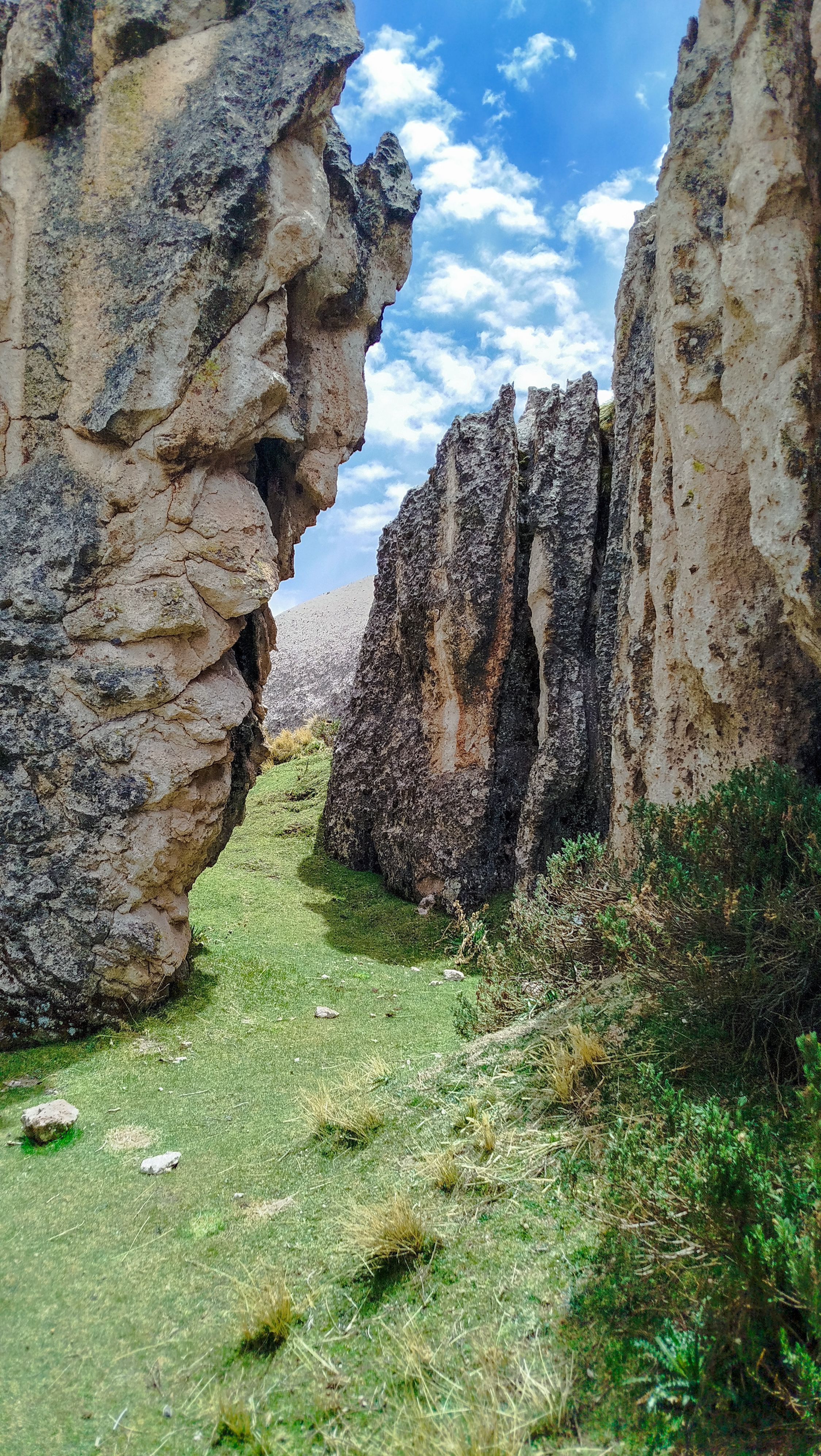 Outside Photos, Download The BEST Free Outside Stock Photos & HD Images