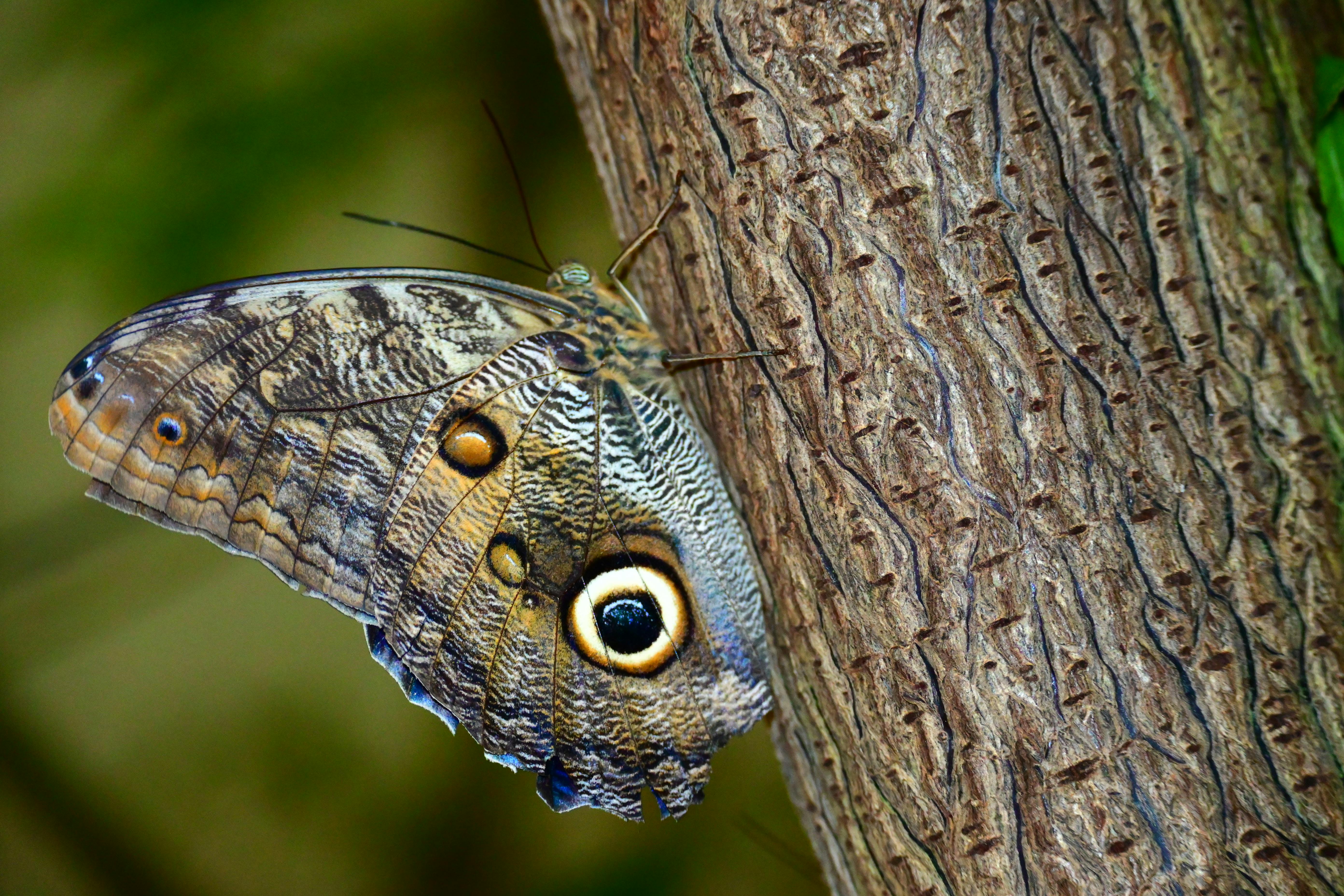 2d Animeted Beautiful Background Photos, Download The BEST Free 2d ...