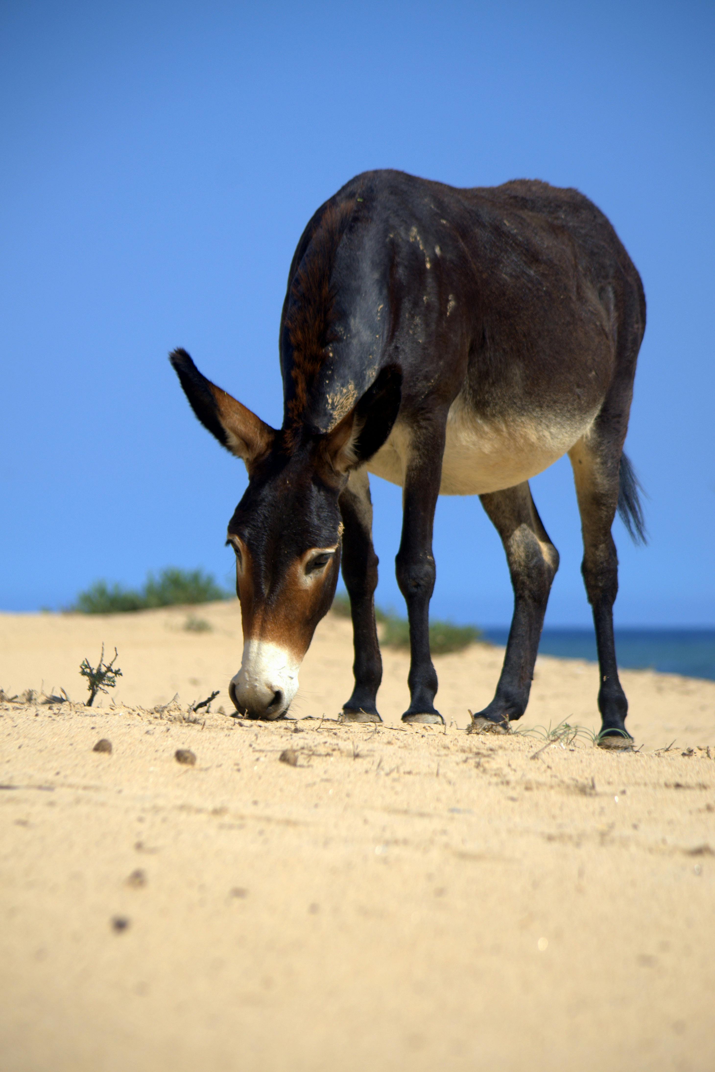 Find+Images+In+A+Picture Photos, Download The BEST Free Find+Images+In ...