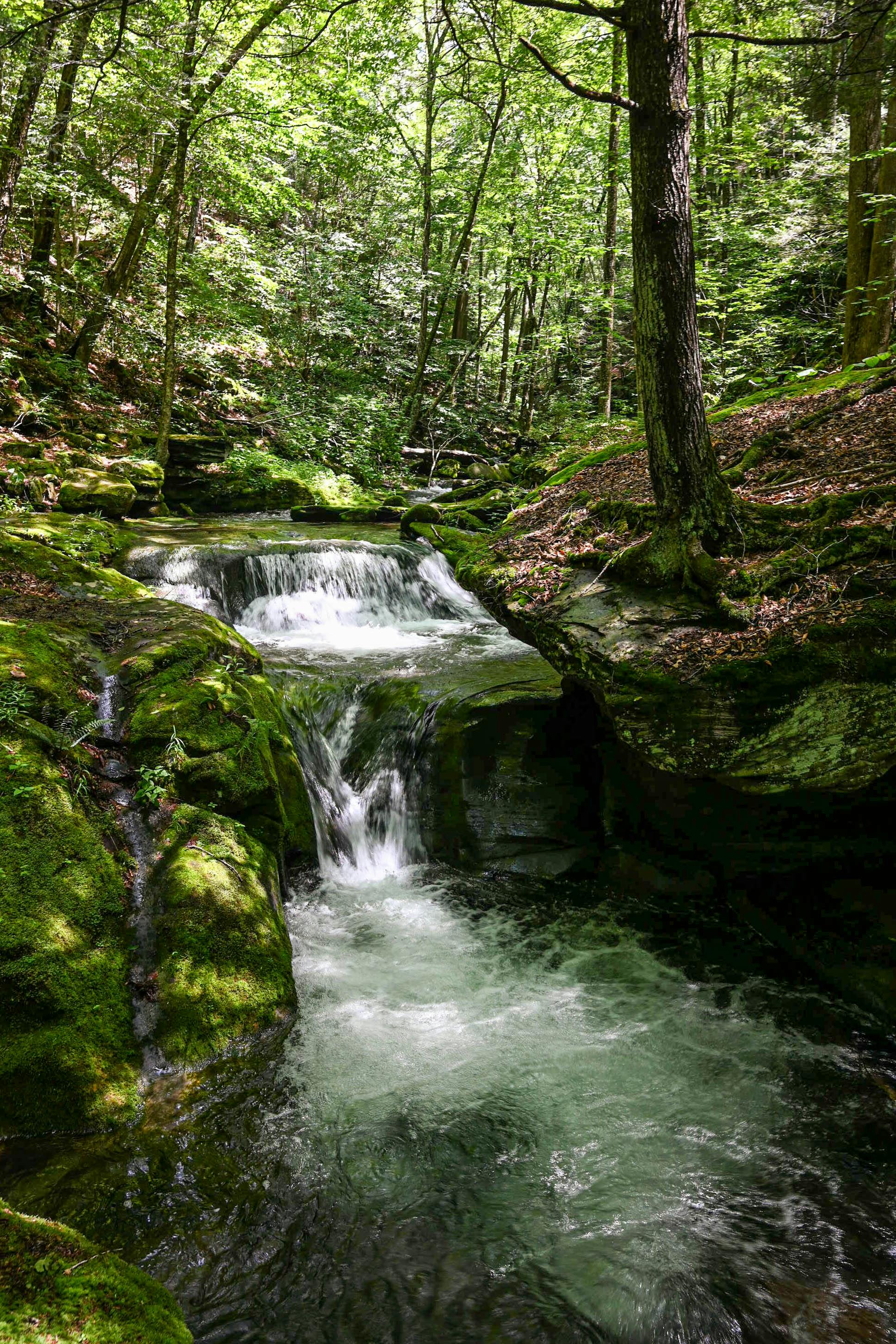 Cleaning+Clean Photos, Download The BEST Free Cleaning+Clean Stock ...