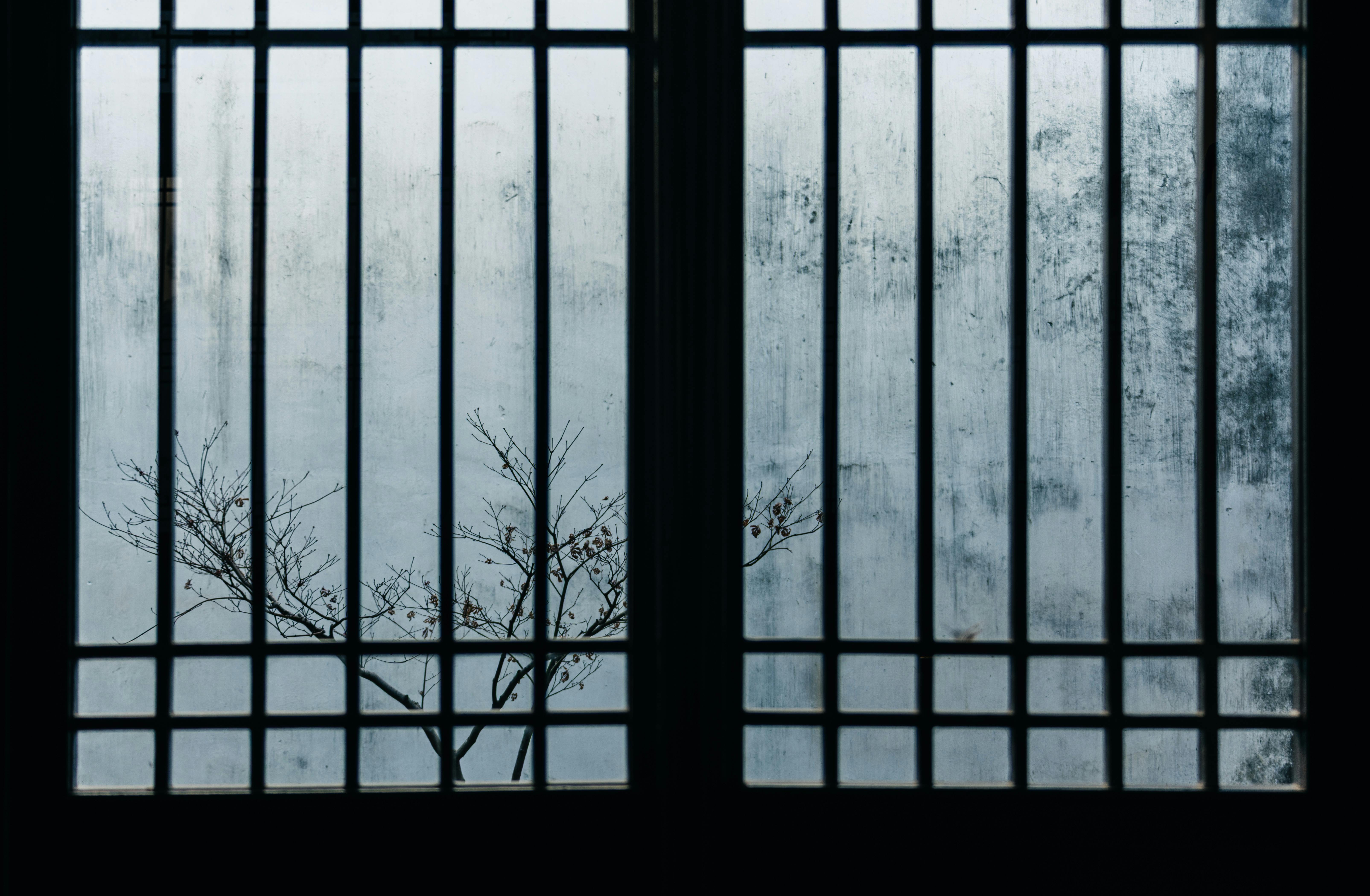 Serene Winter Scene Through Frosted Window · Free Stock Photo