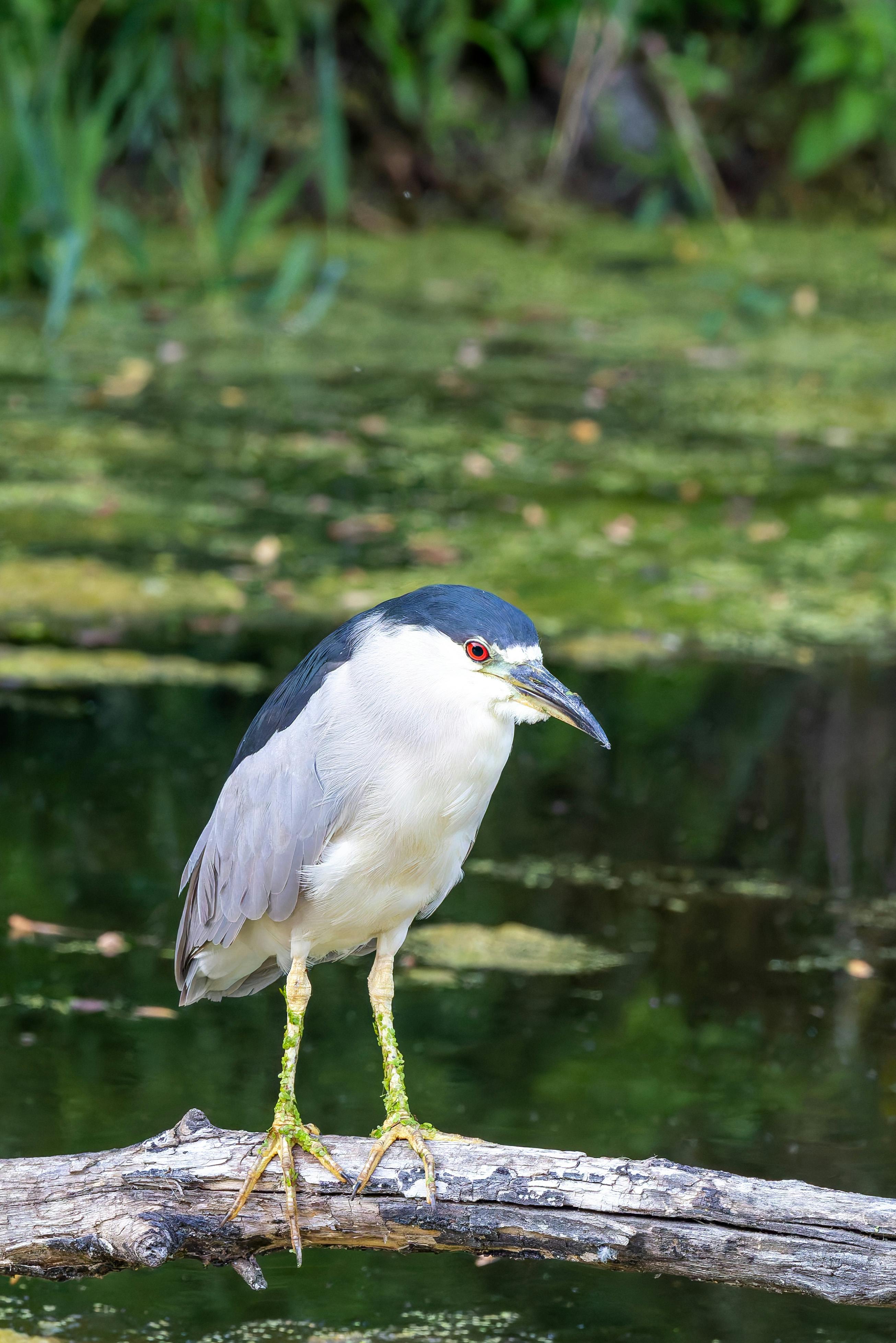 12.157+ Fotos y Imágenes de Feet+on+friday Gratis · Banco de Fotos Gratis