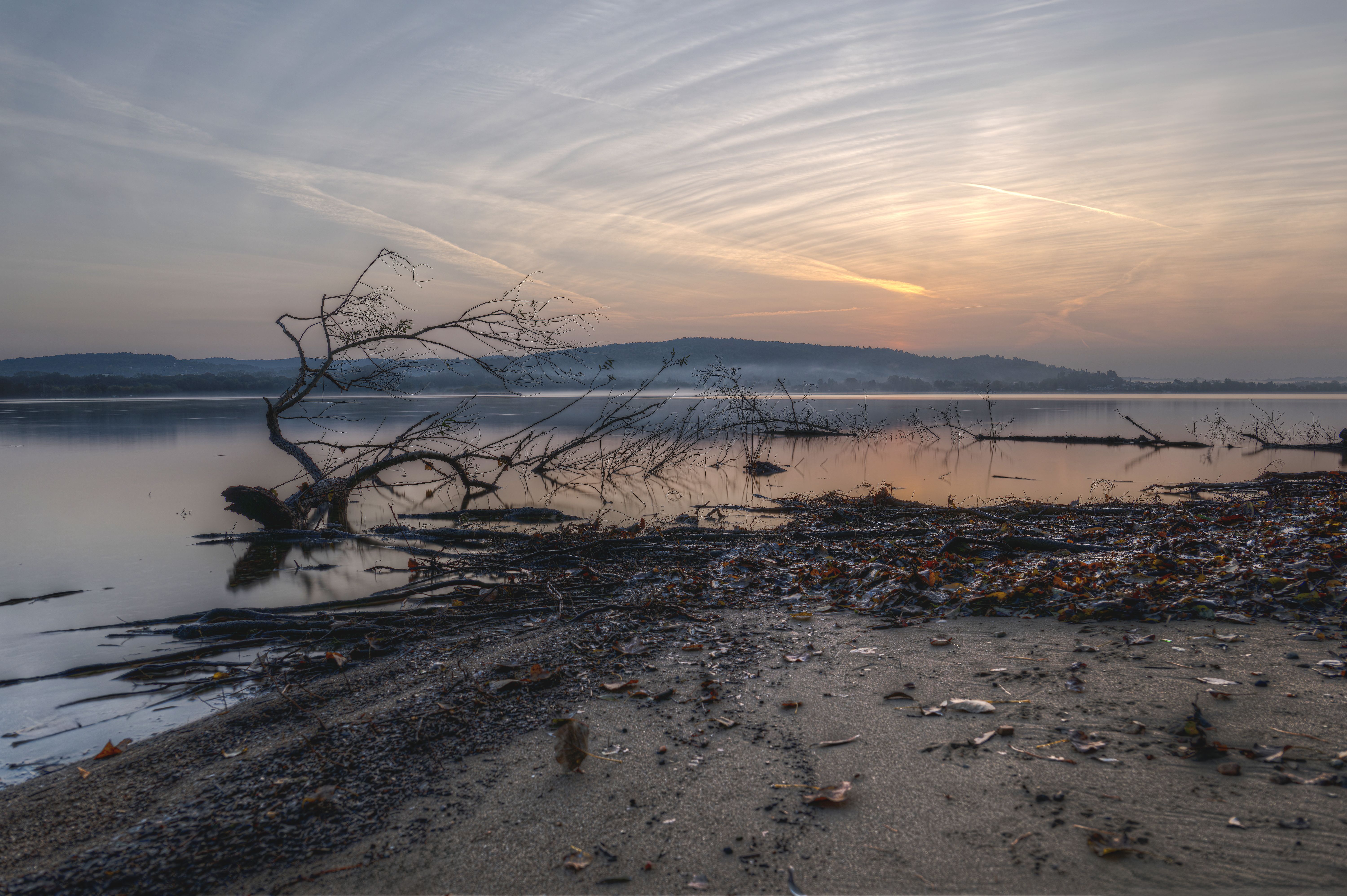 Serene Lakeside Sunrise with Fallen Tree Reflection · Free Stock Photo
