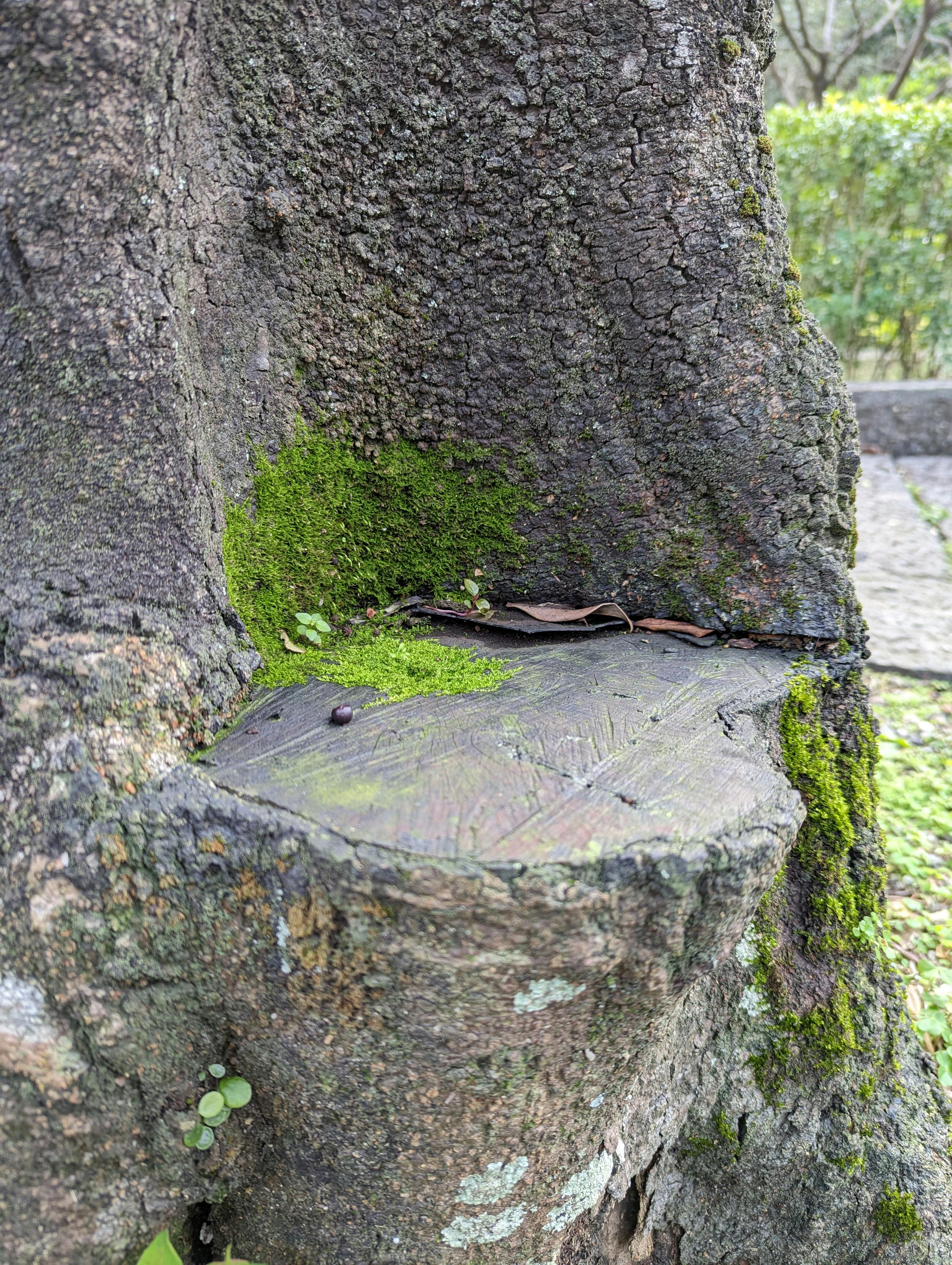 Eugene Lee – Fotografia