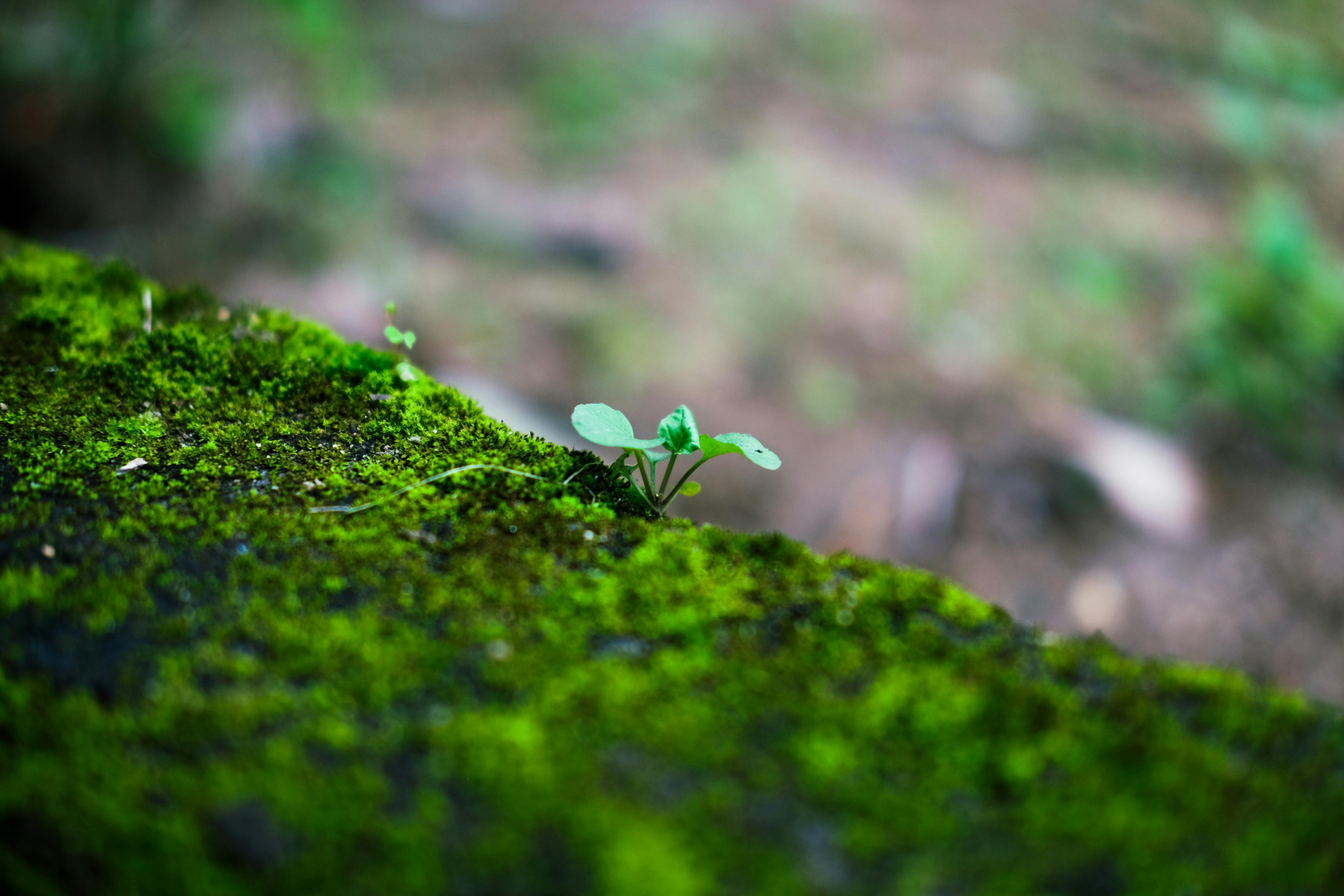 Fusion+Symbol Photos, Download The BEST Free Fusion+Symbol Stock Photos ...