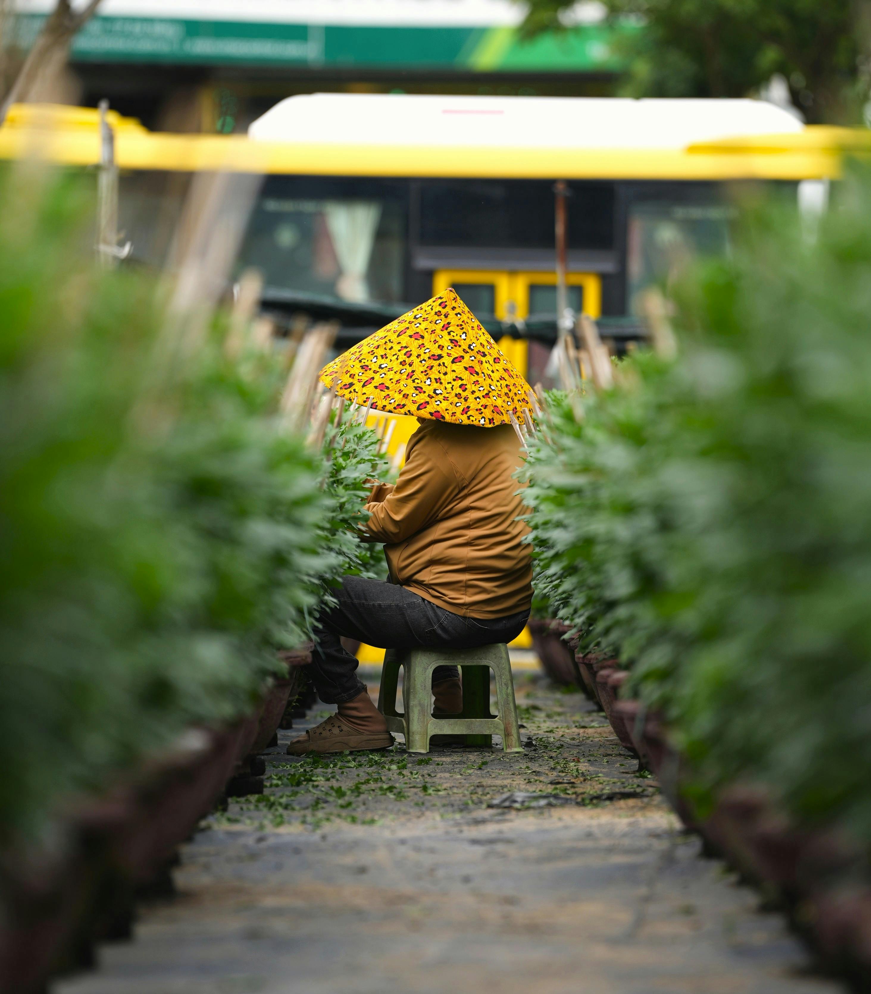 542.690+ Fotos y Imágenes de Nice+blue+bus Gratis · Banco de Fotos Gratis