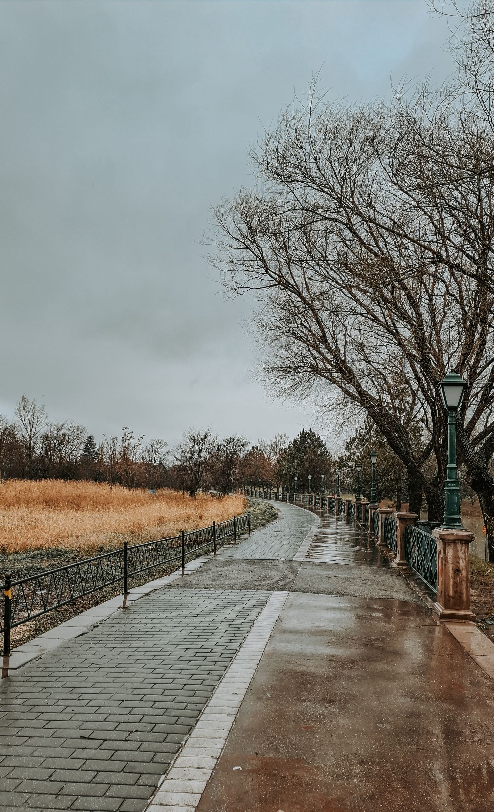 Path Photos, Download The BEST Free Path Stock Photos & HD Images