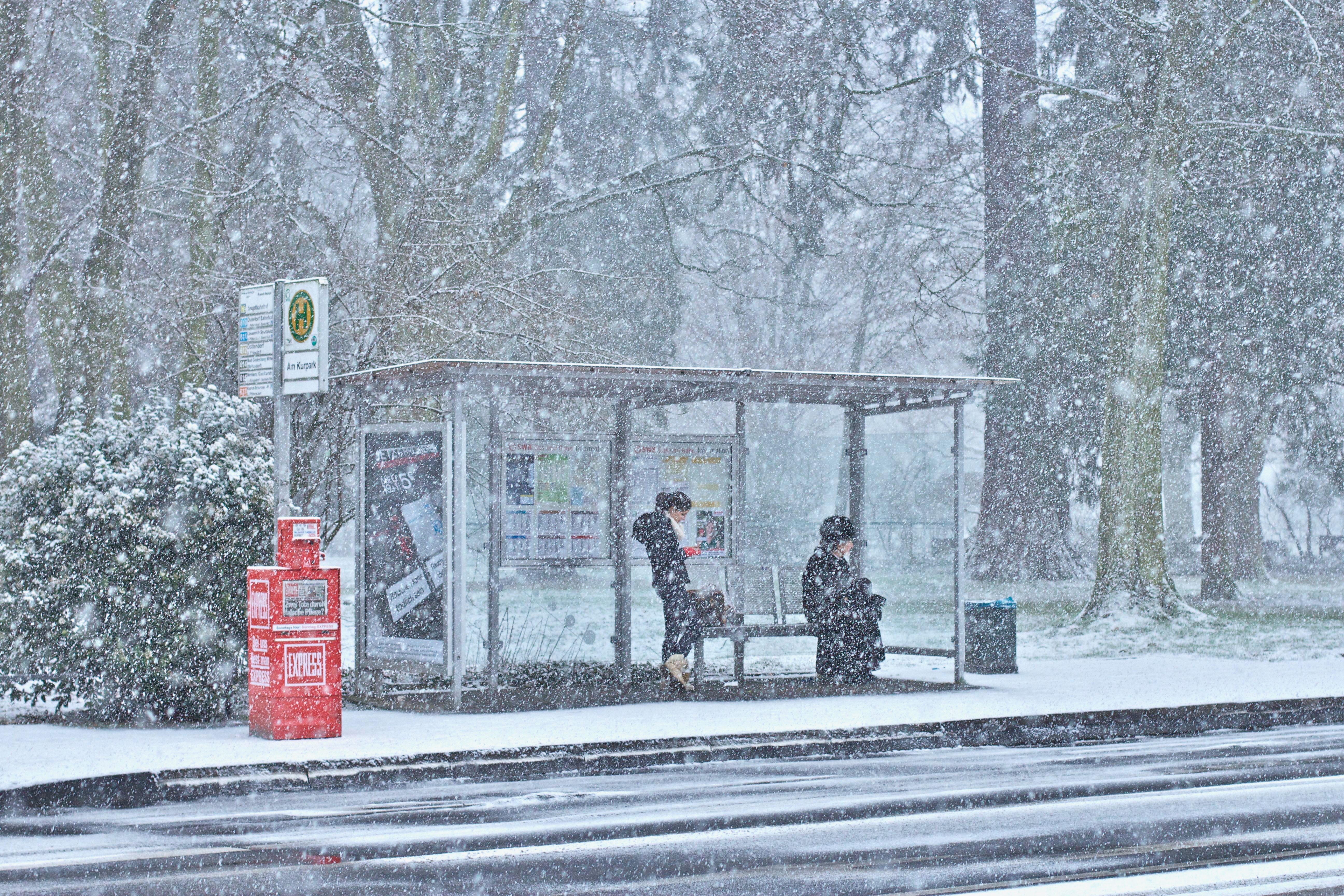Snowy Winter Day at City Bus Stop · Free Stock Photo