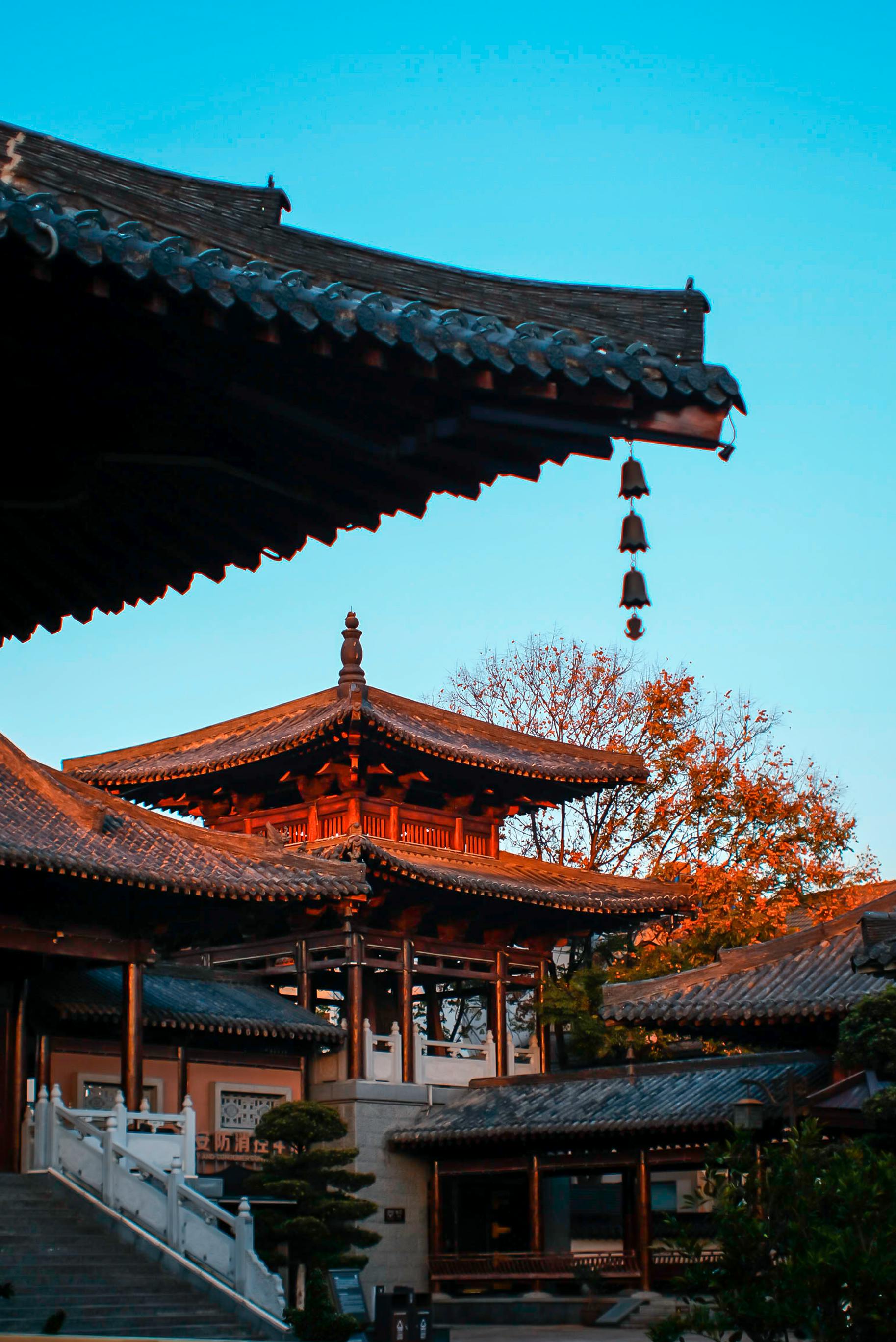 Arquitetura Tradicional Japonesa Ao Nascer Do Sol · Foto profissional ...