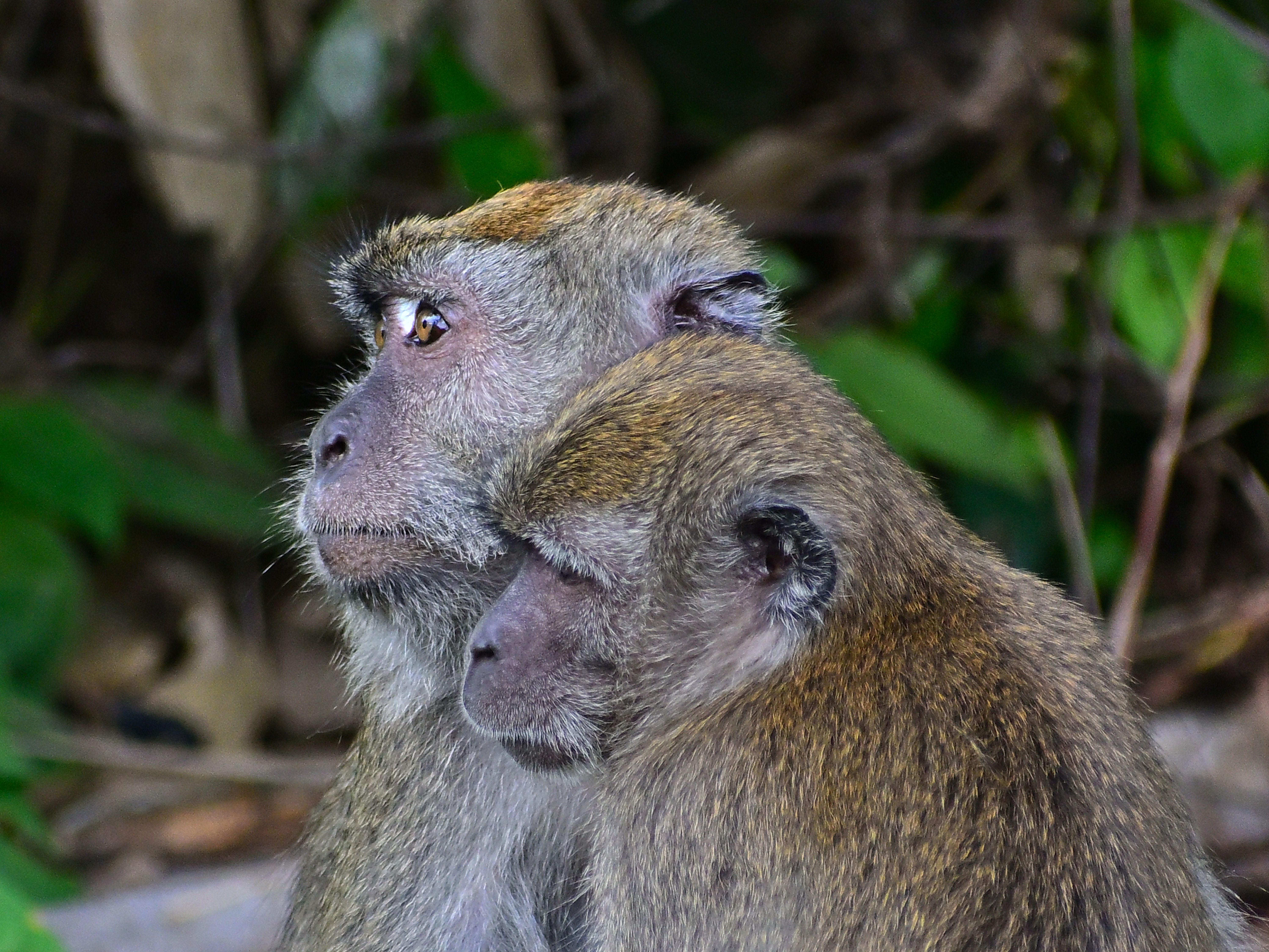 Naturalist Family Photos, Download The BEST Free Naturalist Family ...