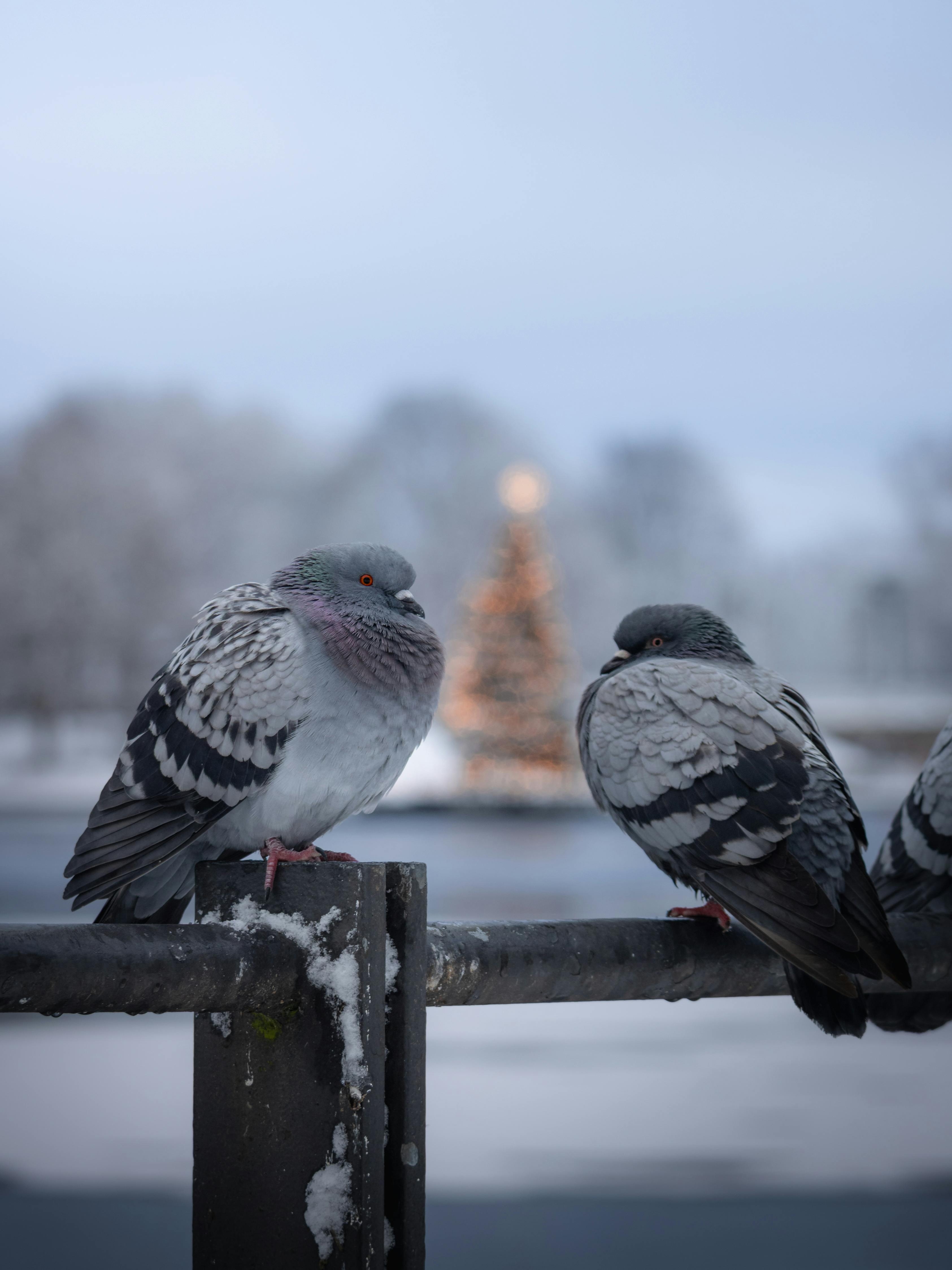 Hd Wallpaper Code Based Photos, Download The BEST Free Hd Wallpaper ...