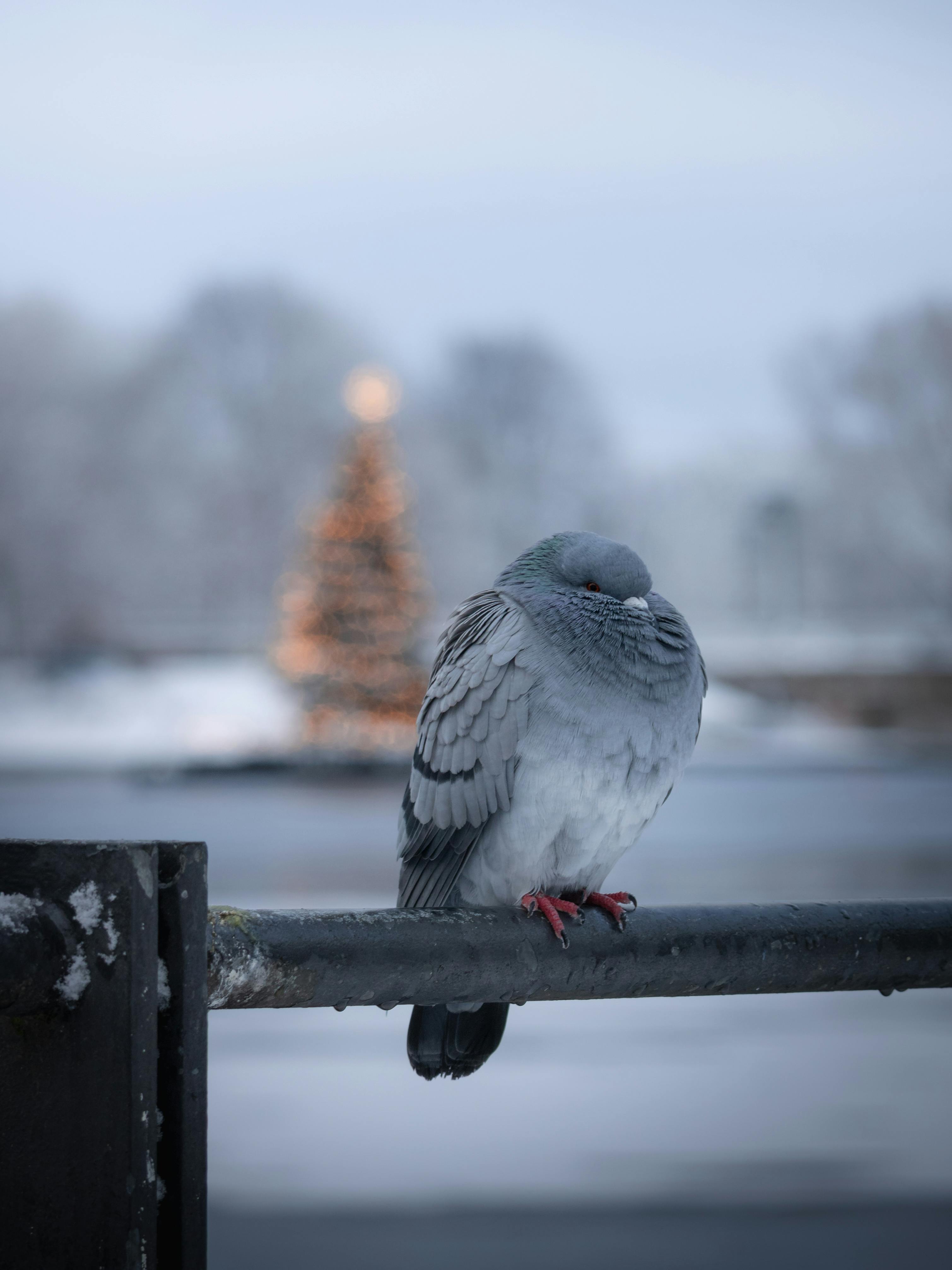 Hd Wallpaper Code Based Photos, Download The BEST Free Hd Wallpaper ...