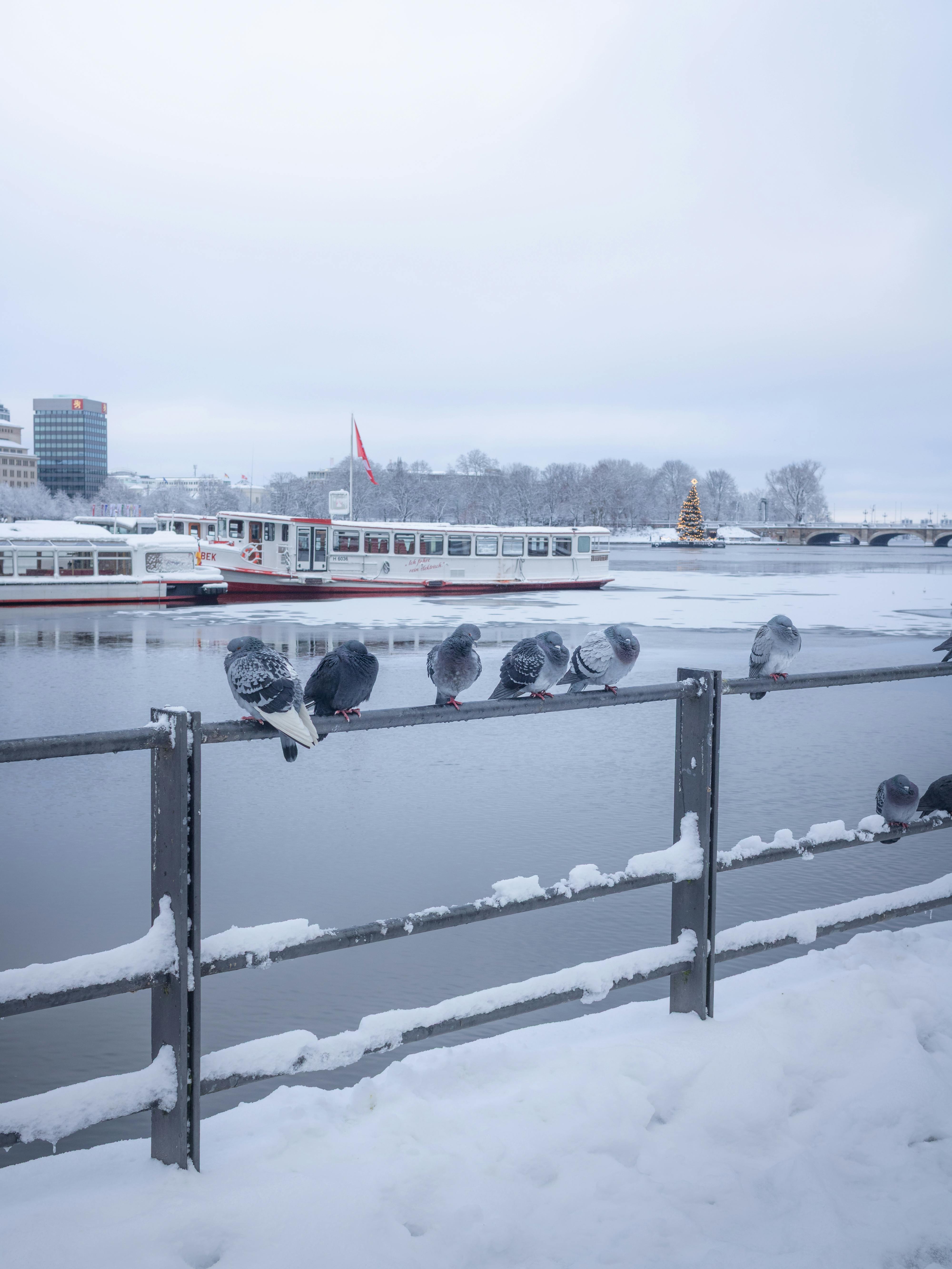 40 000+ 4k+25inch+monitor banque d’images et photos libres de droit ...