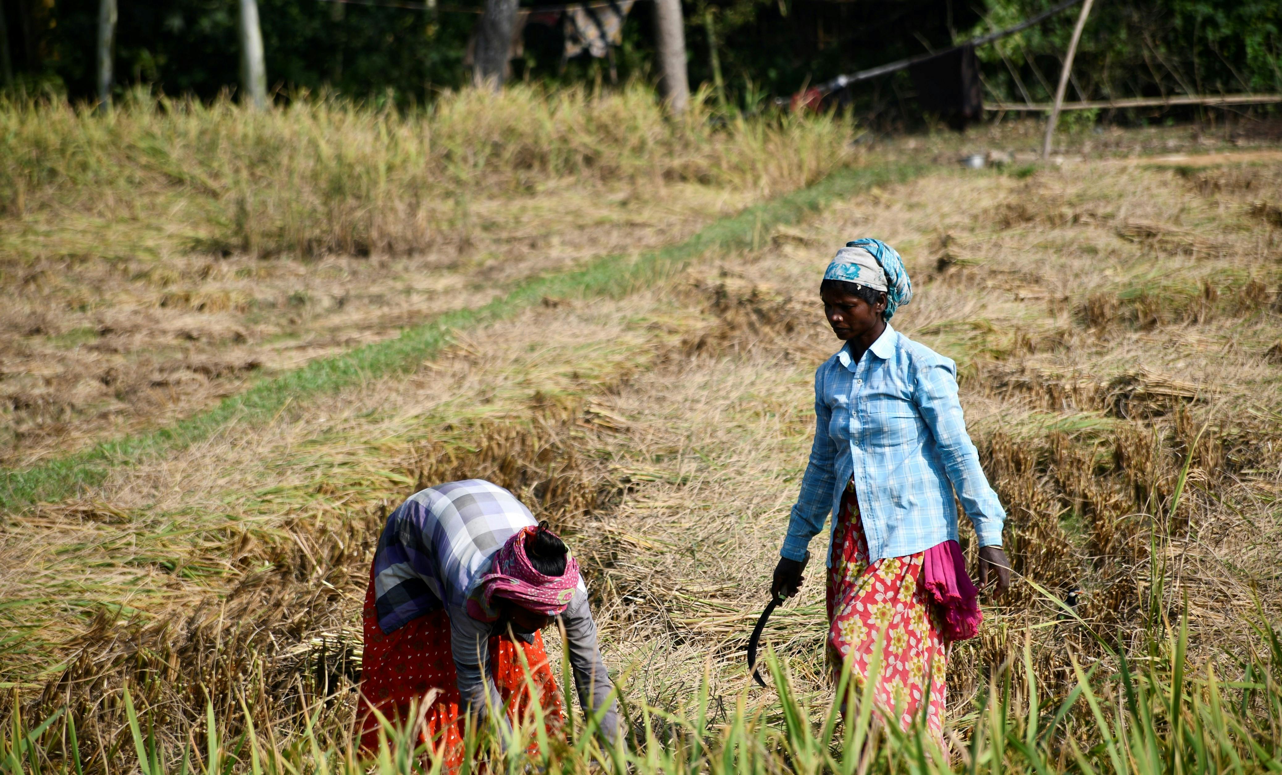 Dirty+Work+Dance Photos, Download The BEST Free Dirty+Work+Dance Stock Photos & HD Images