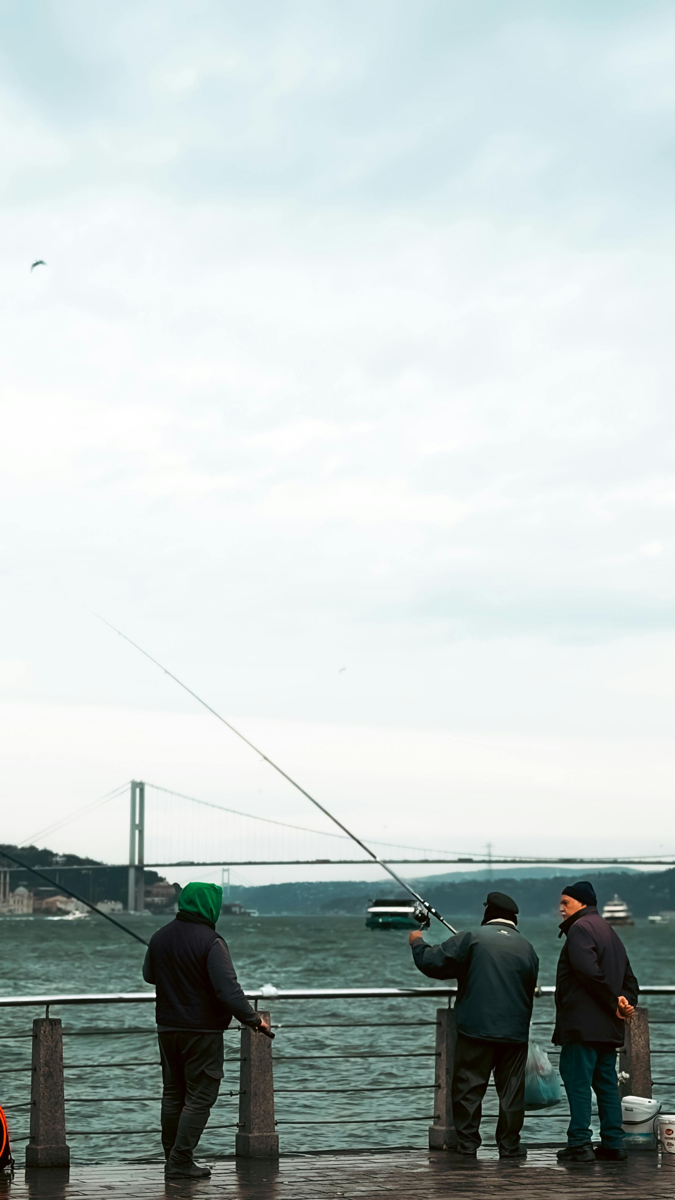 Discus Sport Photos, Download The BEST Free Discus Sport Stock Photos ...