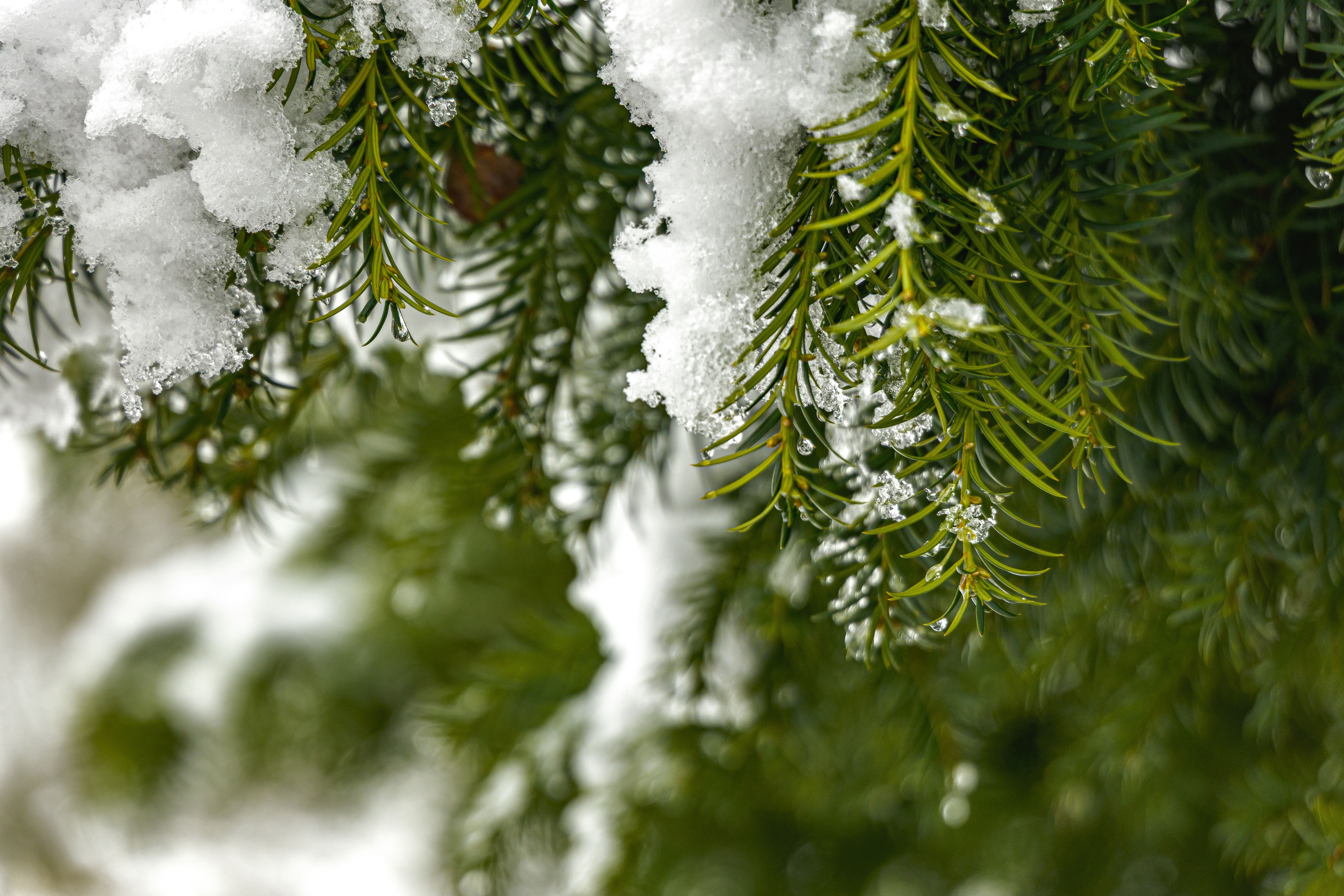Teams Winter Background Photos, Download The BEST Free Teams Winter ...