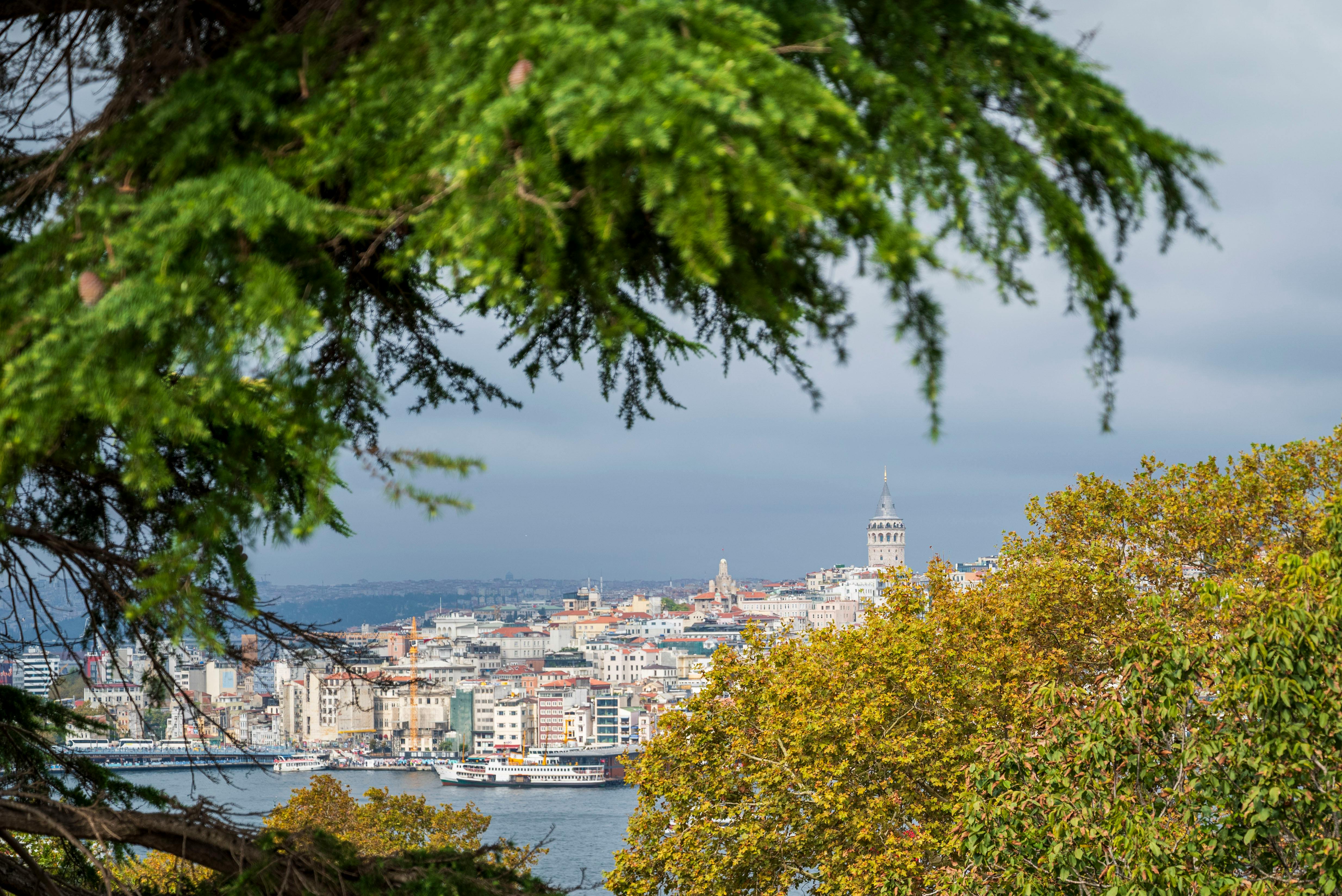 Chut Land Ki Photo Photos, Download The BEST Free Chut Land Ki Photo ...