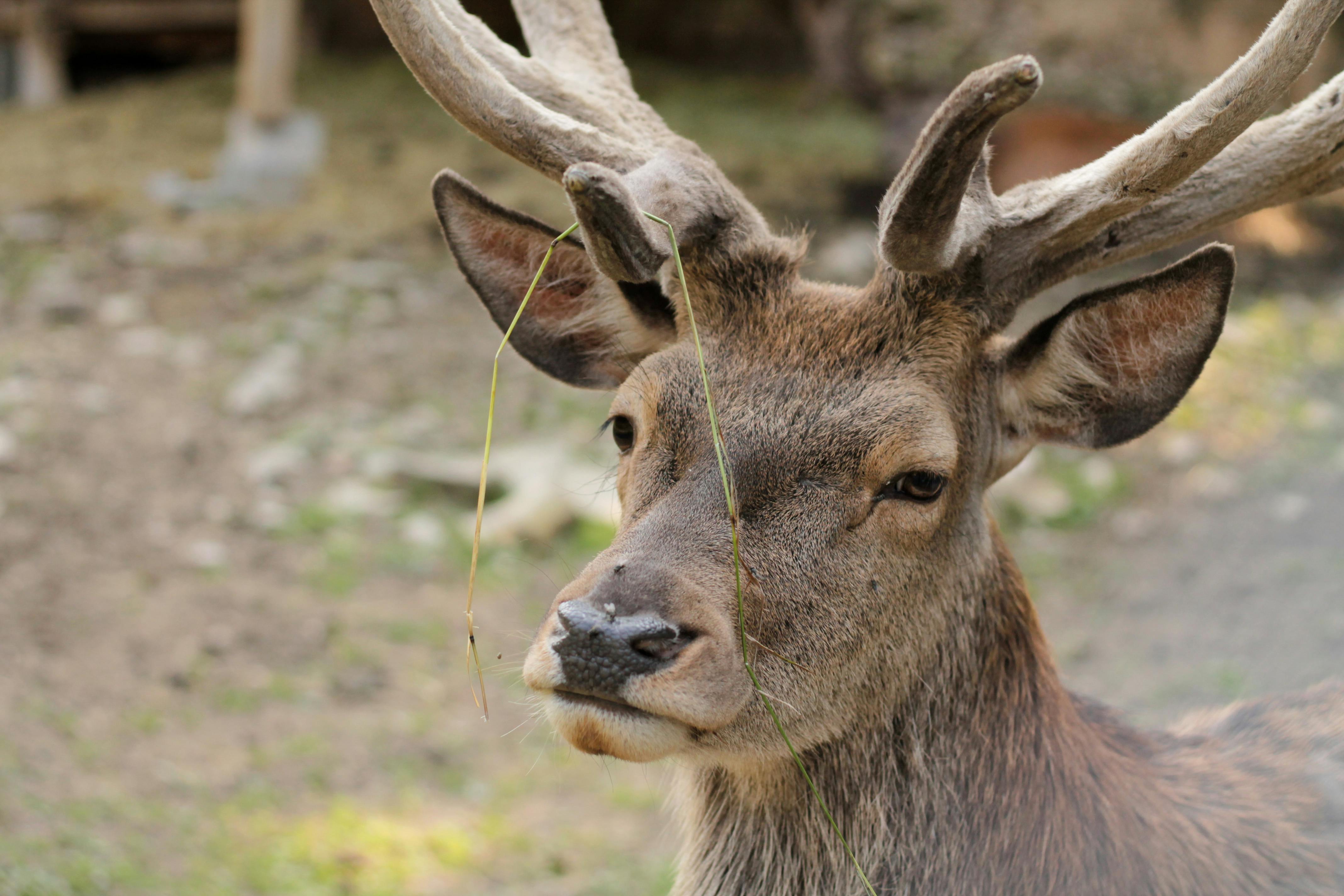 27.241+ Fotos y Imágenes de Stock-story Gratis · Banco de Fotos Gratis