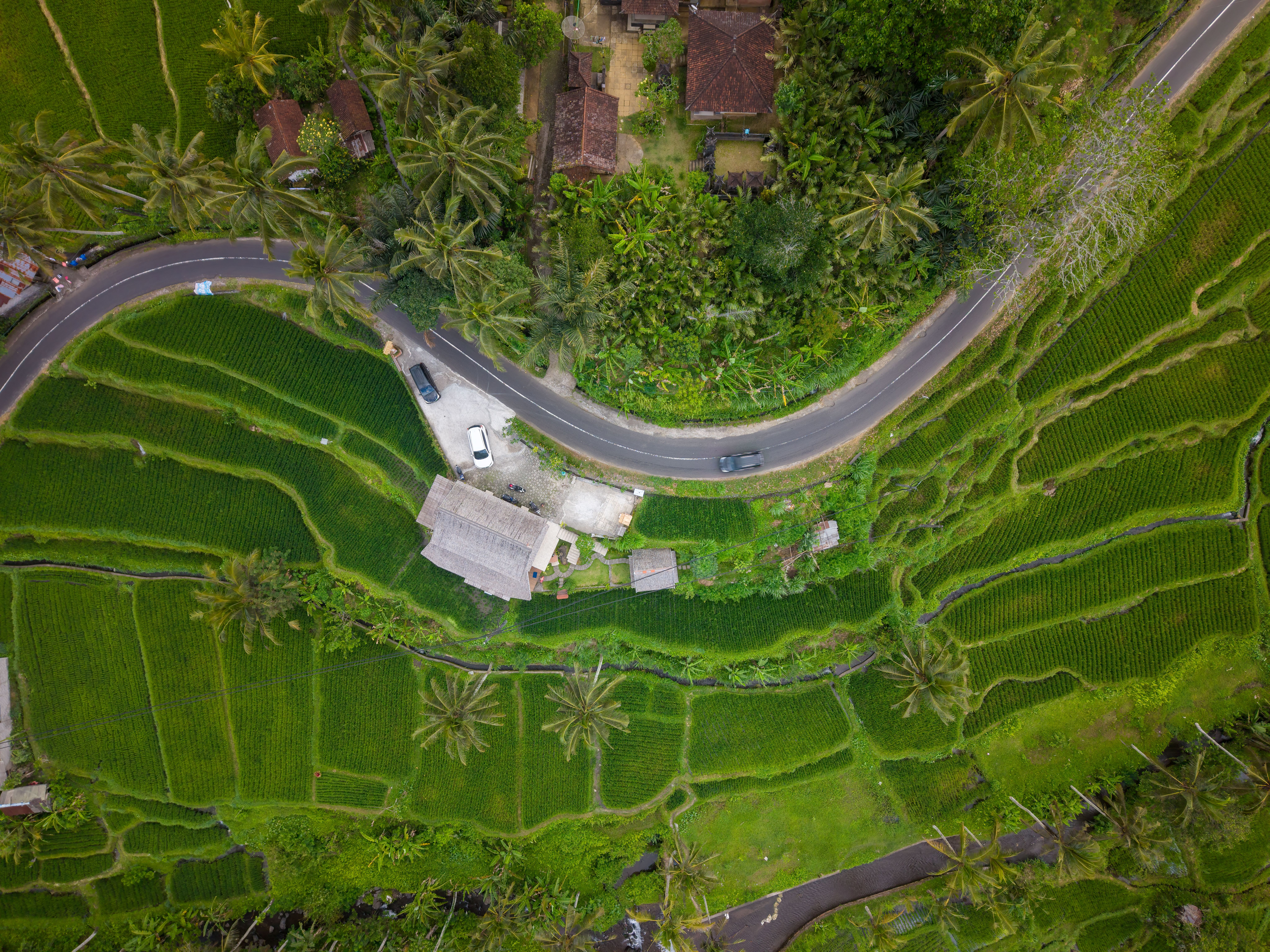 Aerial View of Rice Terraces in Bali, Indonesia · Free Stock Photo