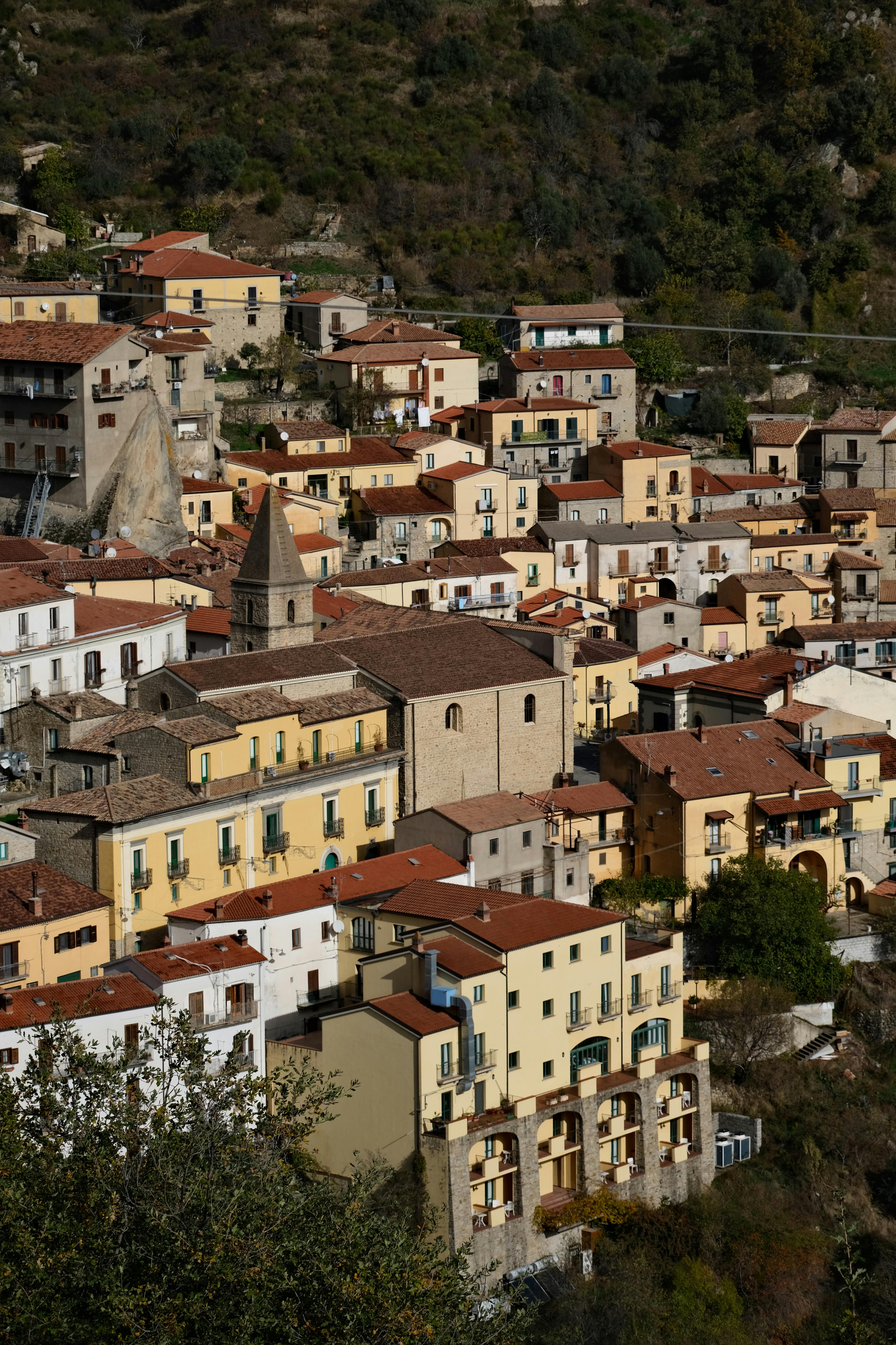 Small+Tiny+F Photos, Download The BEST Free Small+Tiny+F Stock Photos ...