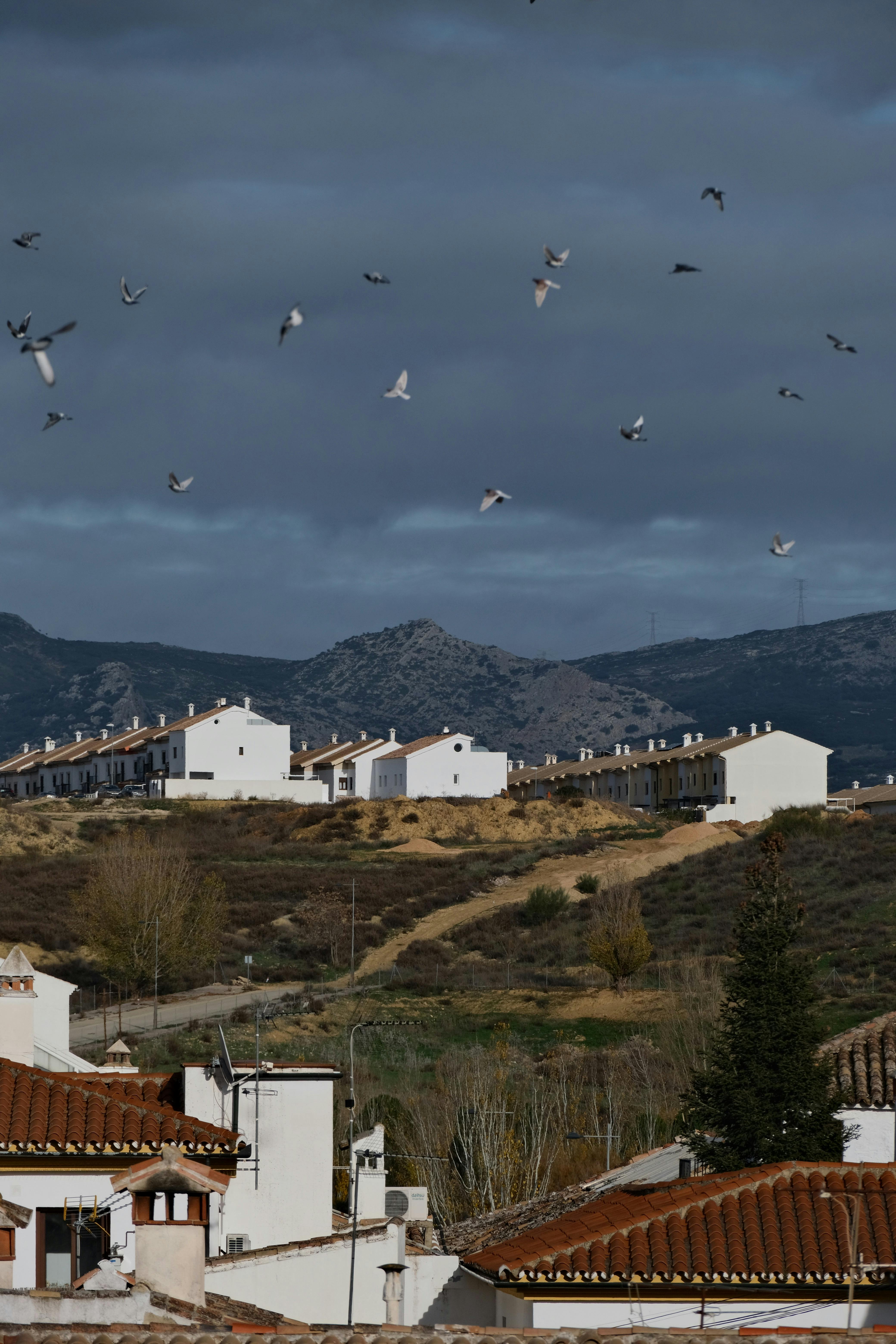 Aves Volando Sobre Un Pueblo Rural Español · Foto de stock gratuita