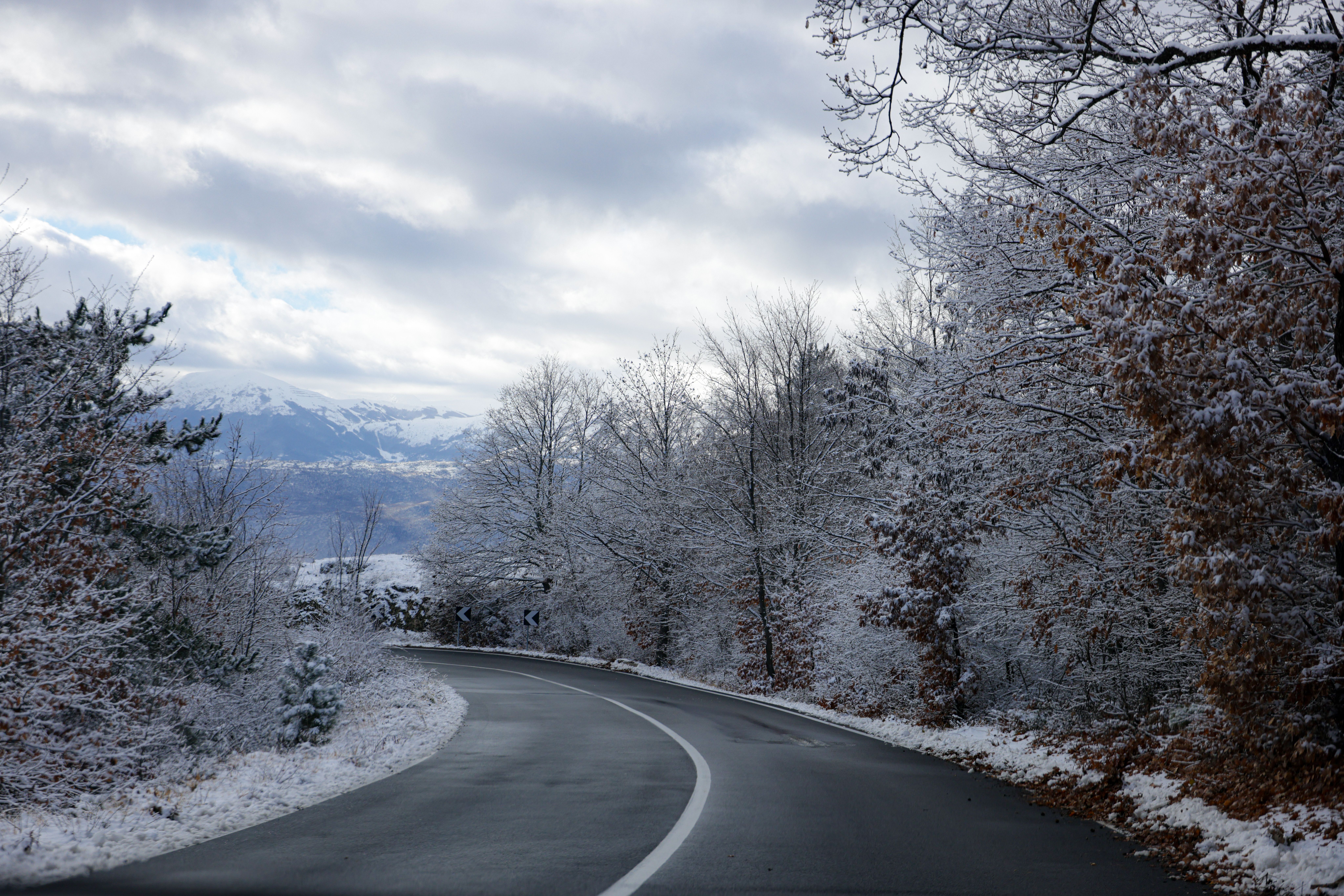 Snowy Winter Road Through a Serene Forest · Free Stock Photo