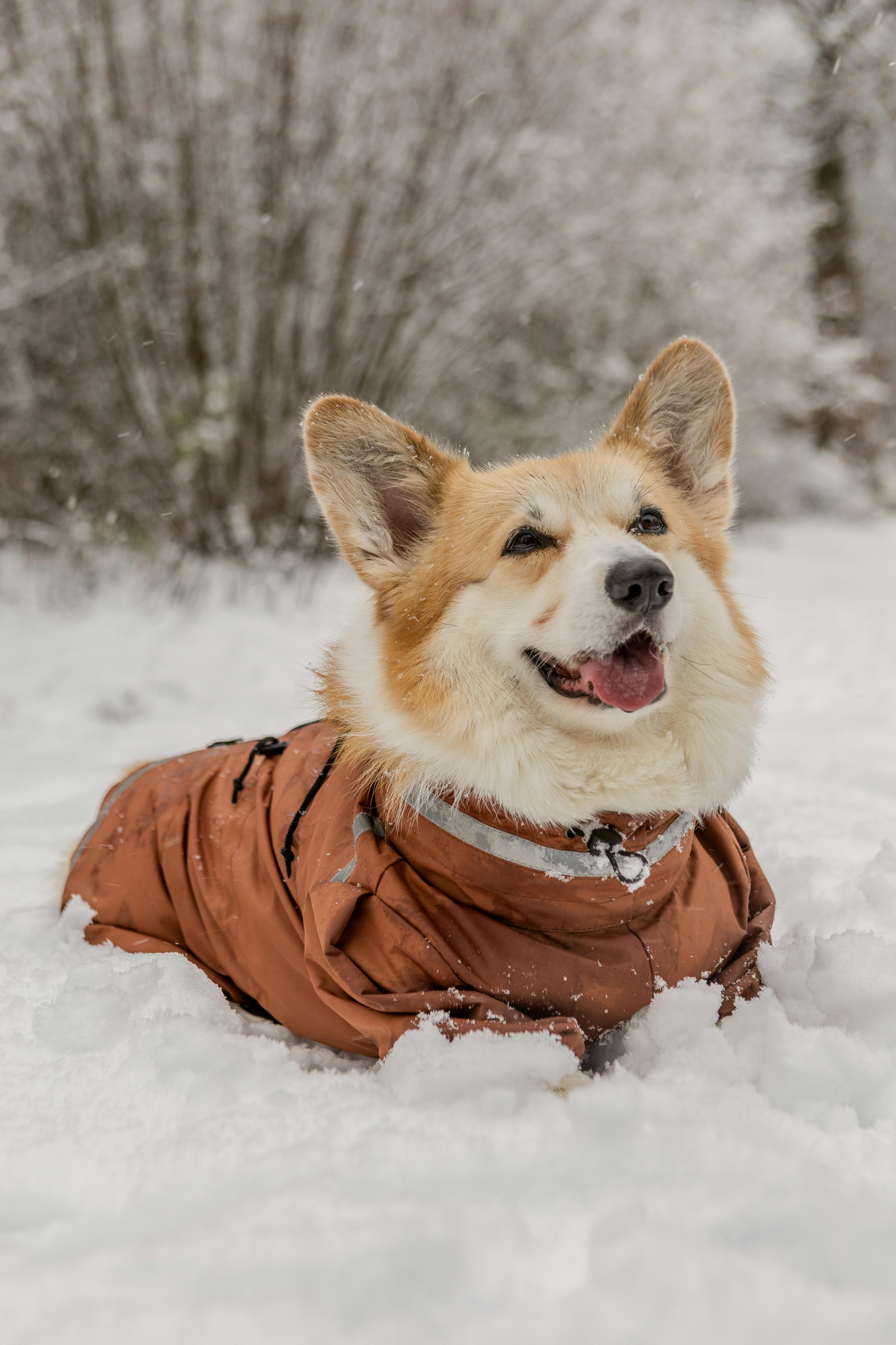 The+Flowing+Landscape Photos, Download The BEST Free The+Flowing ...