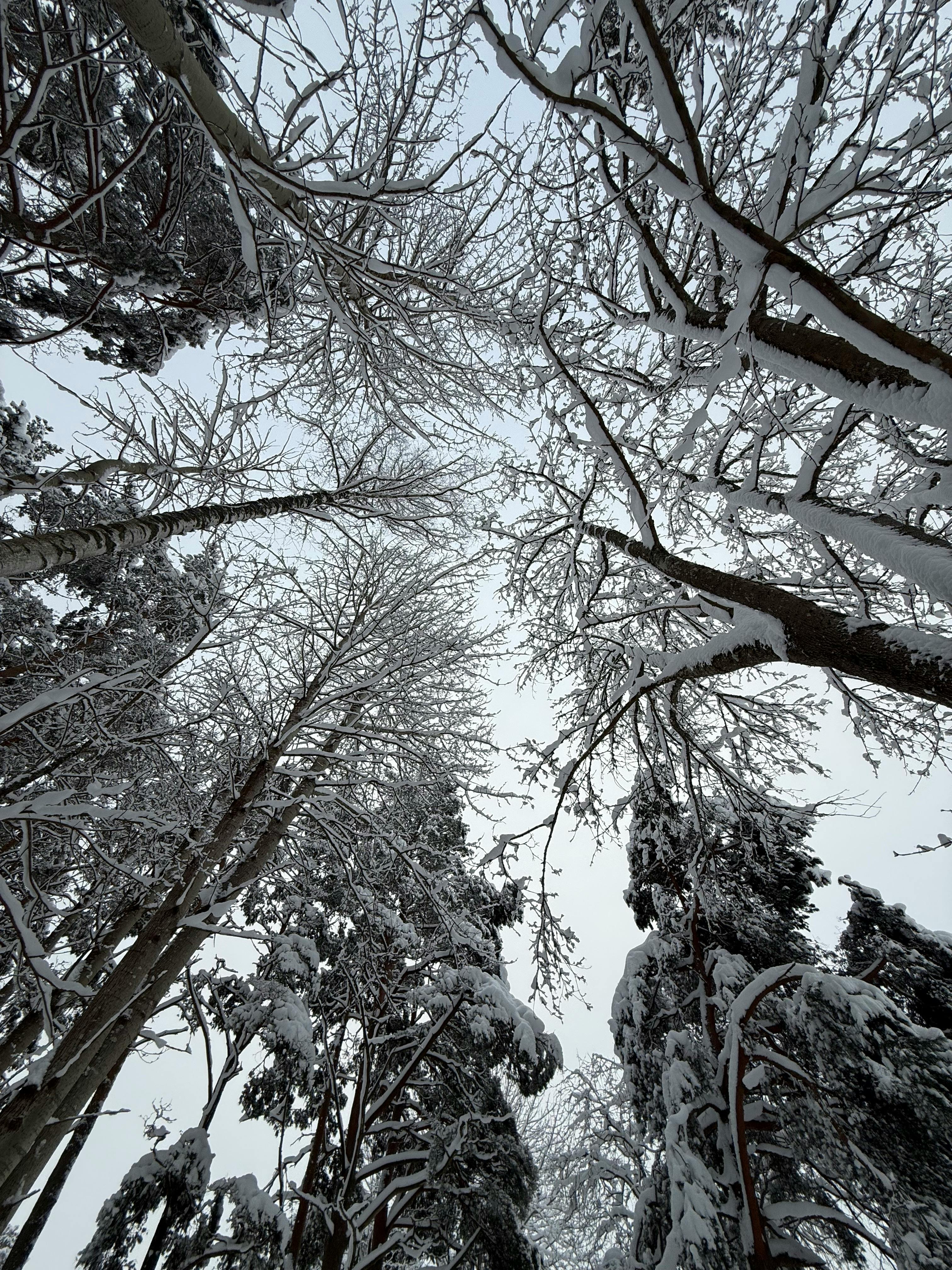 2007+Ice+Photo Photos, Download The BEST Free 2007+Ice+Photo Stock ...