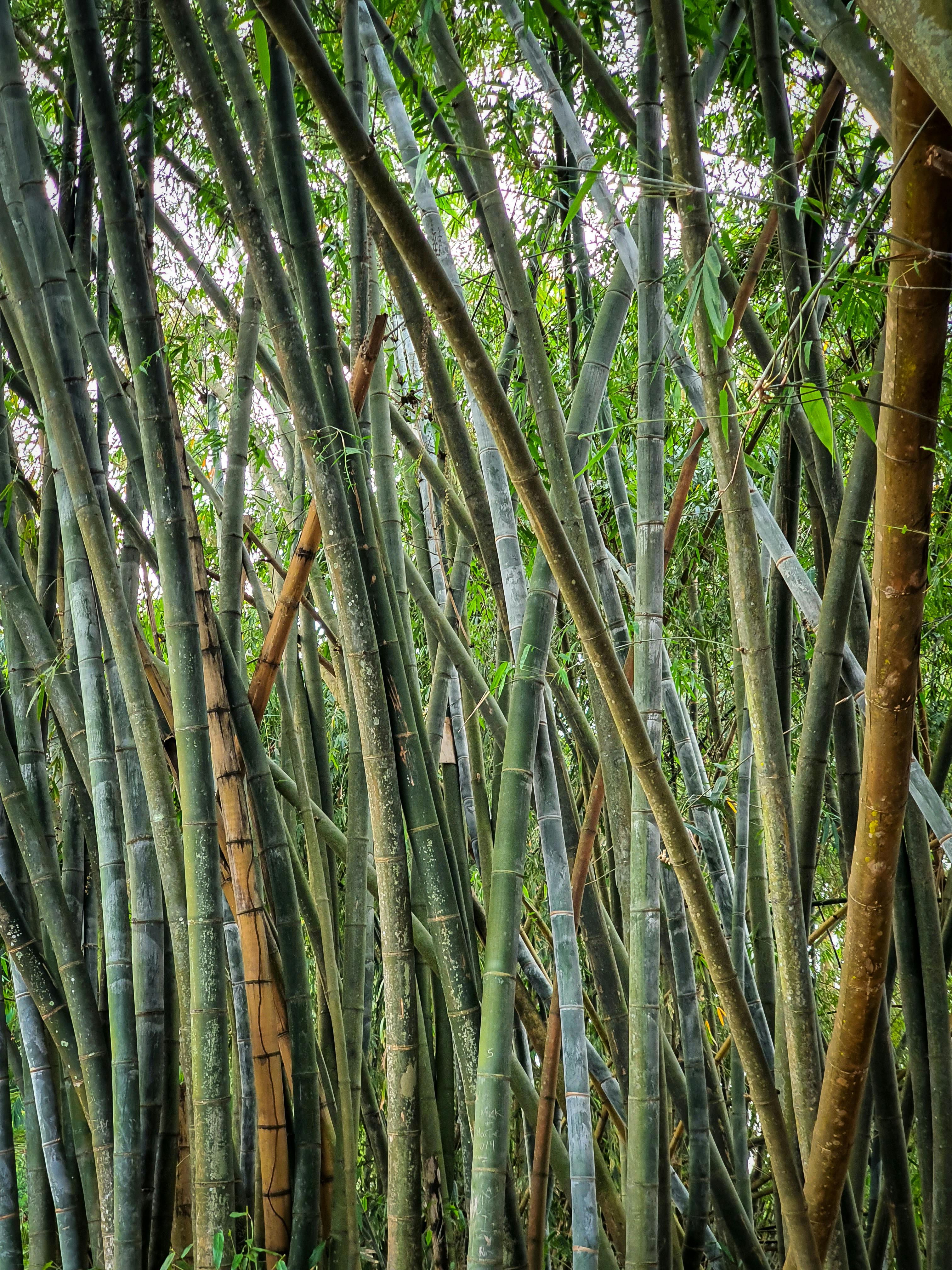 40.000+ ảnh đẹp nhất về Kayley-gunner-2026-calendar-image · Tải xuống ...