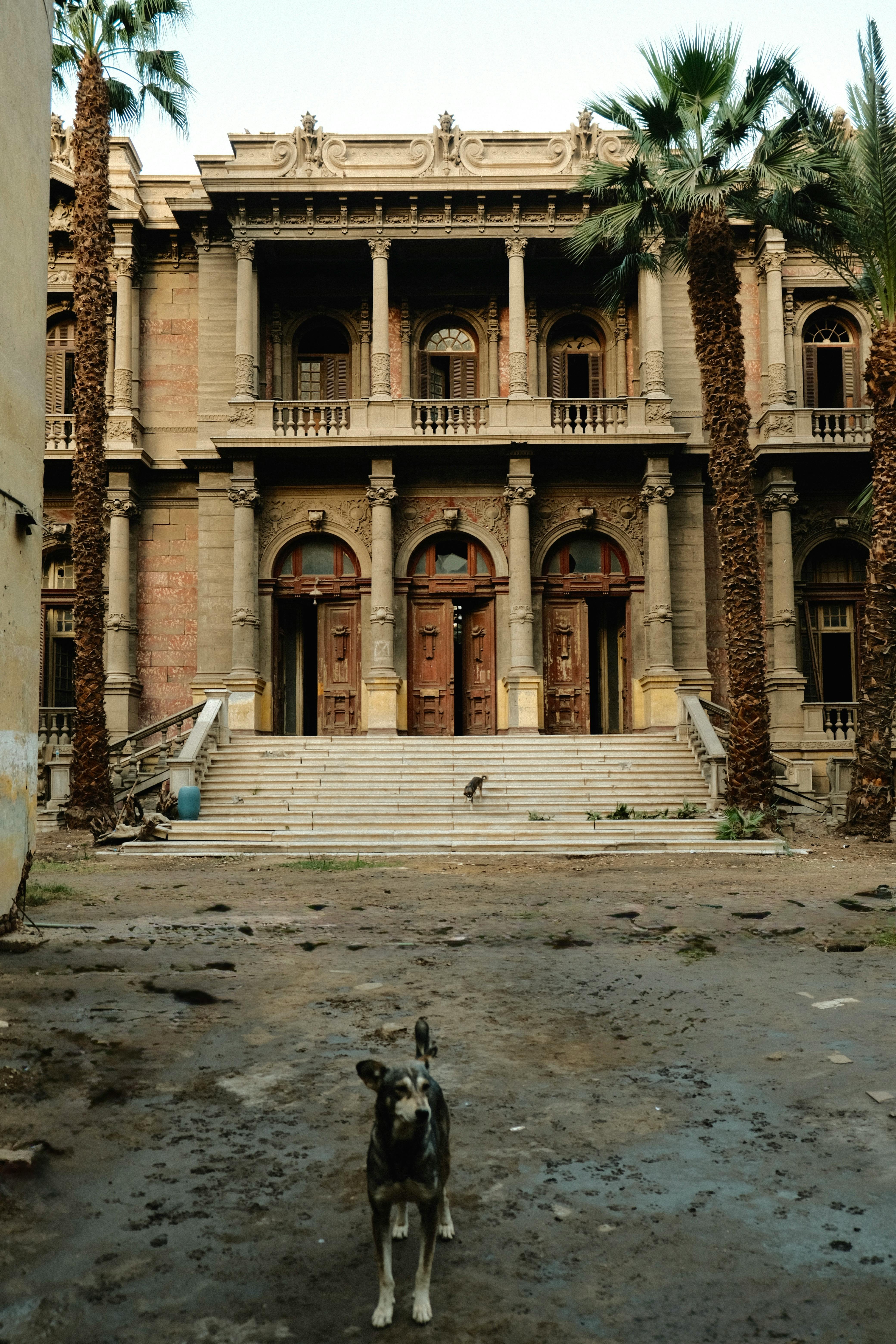 Screen+T Photos, Download The BEST Free Screen+T Stock Photos & HD Images