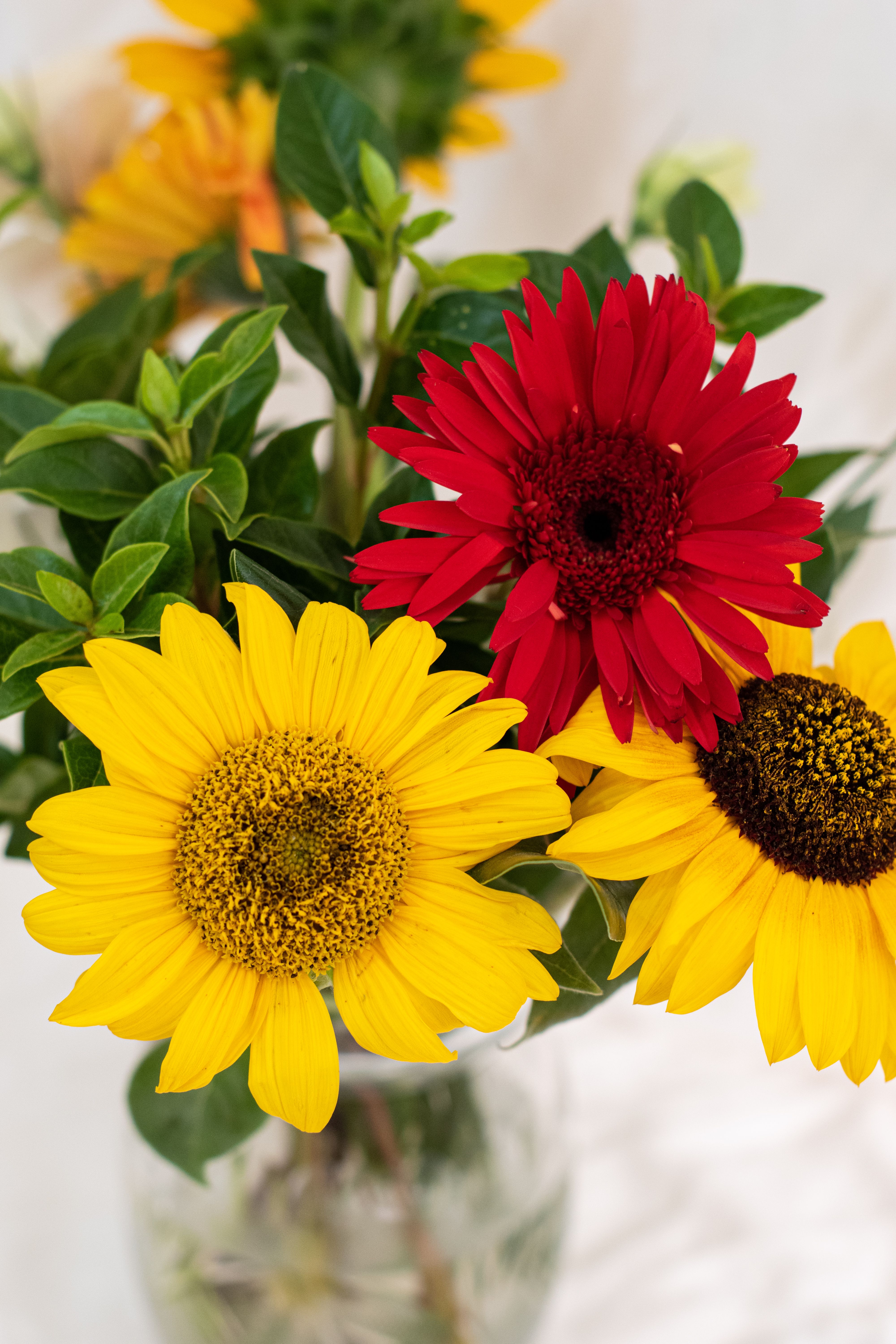 Vibrant Bouquet of Sunflowers and Gerbera Daisies · Free Stock Photo